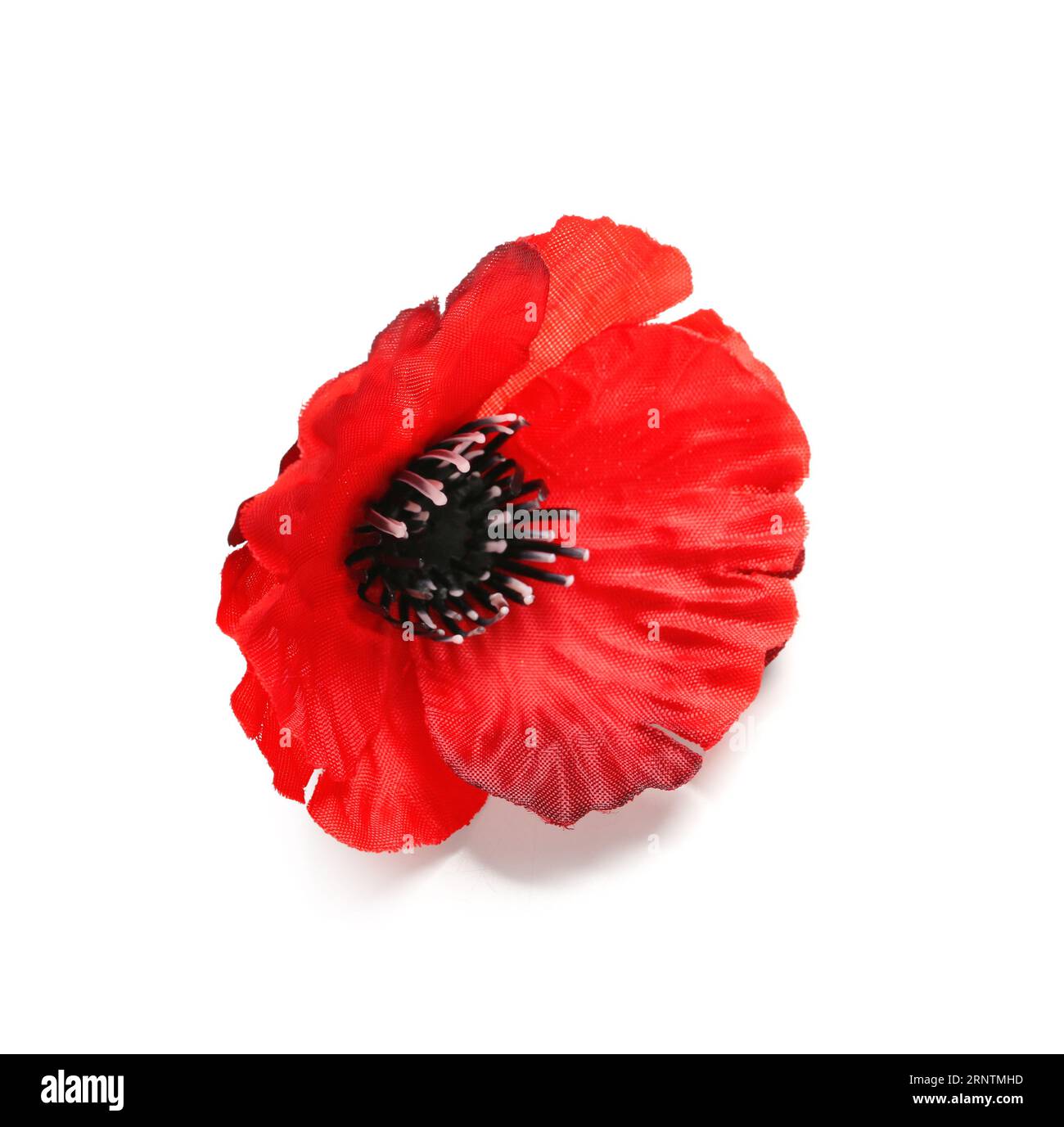Red poppy flower isolated on white background. Remembrance Day in ...