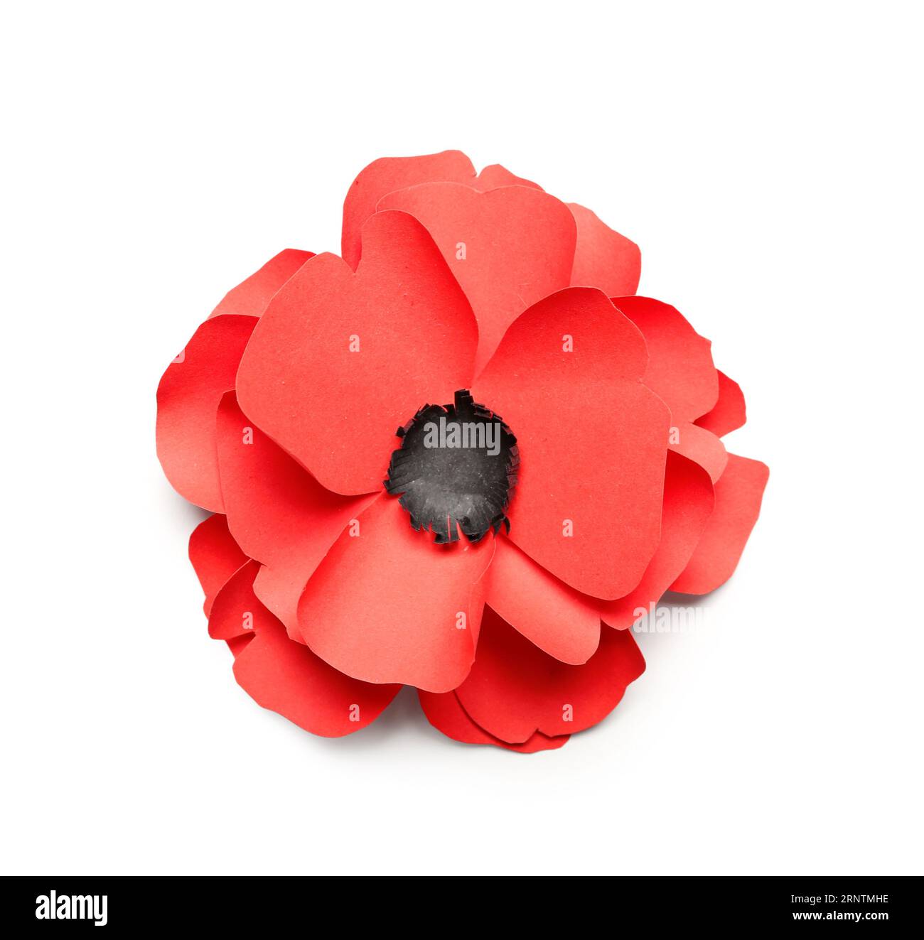 Red poppy flower isolated on white background. Remembrance Day in ...