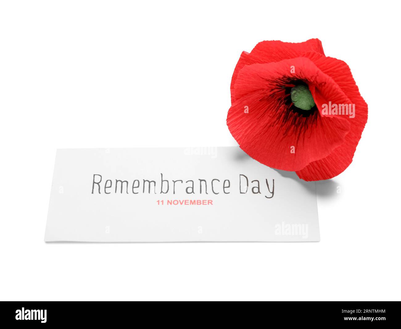 Red poppy flower with card isolated on white background. Remembrance ...