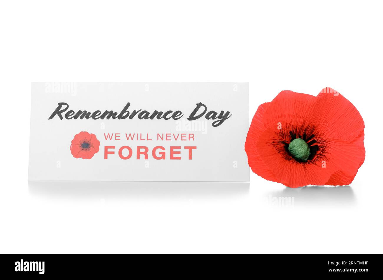 Red poppy flower with card isolated on white background. Remembrance ...