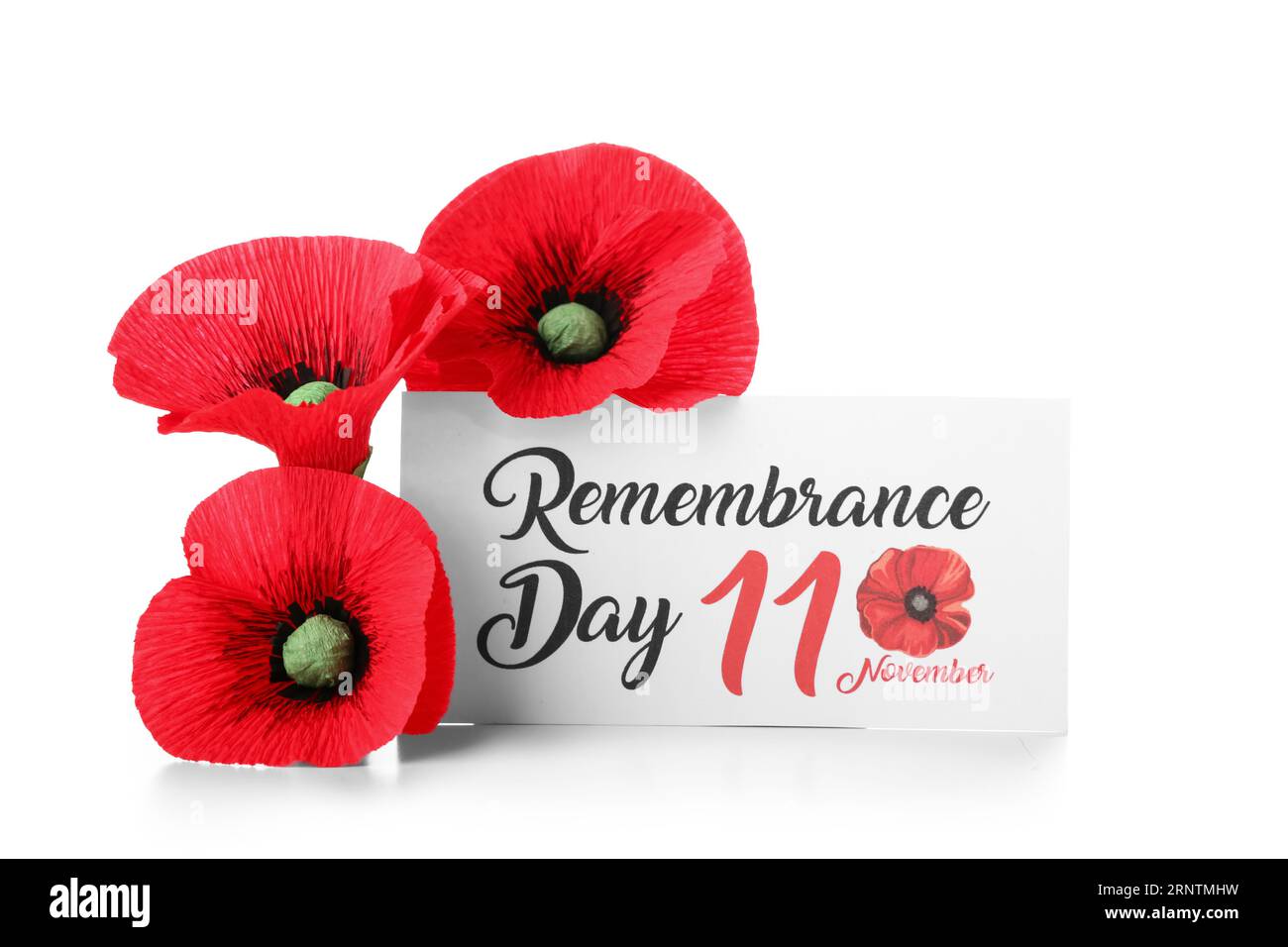 Canadian November Backgrounds