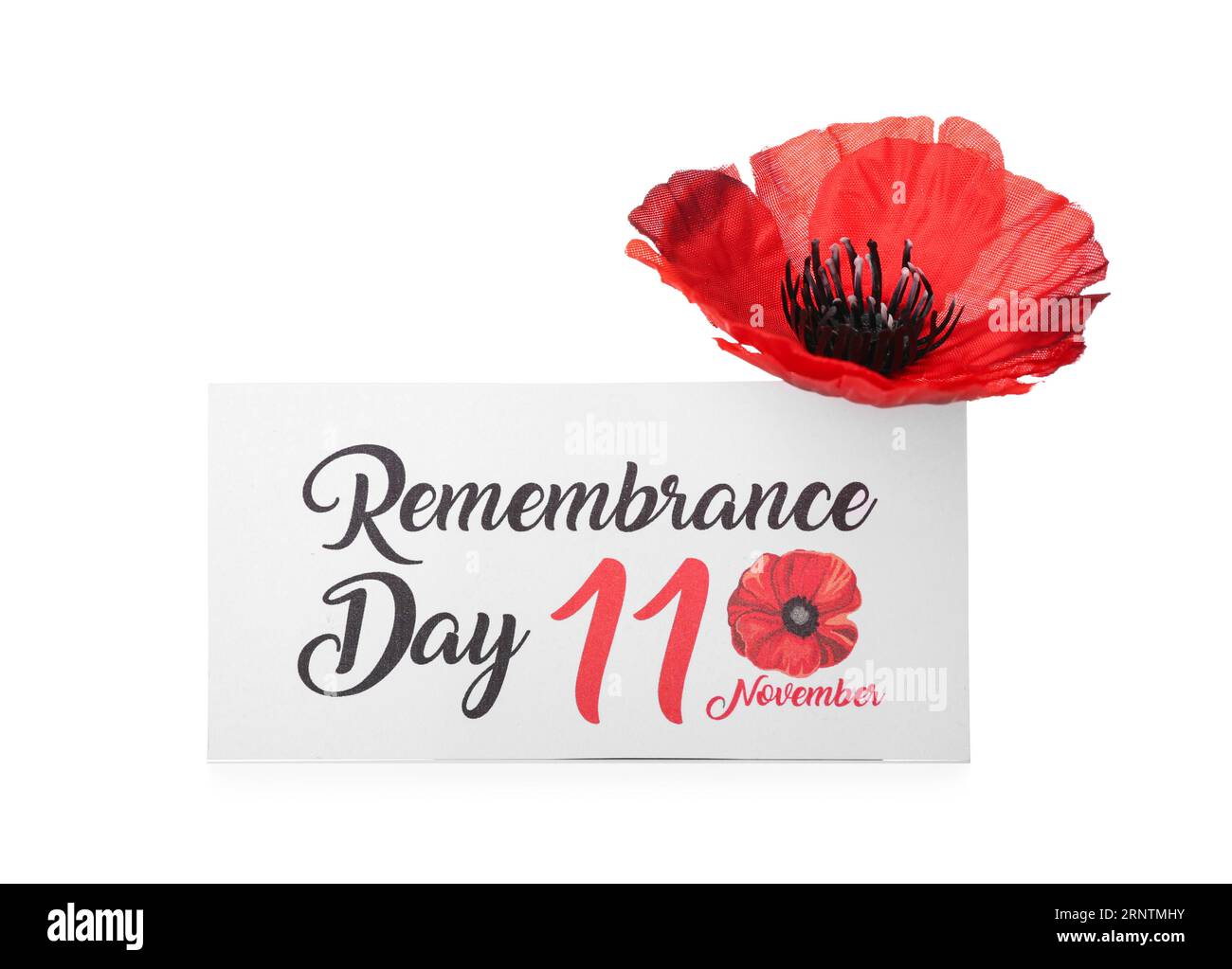 Red poppy flower with card isolated on white background. Remembrance ...