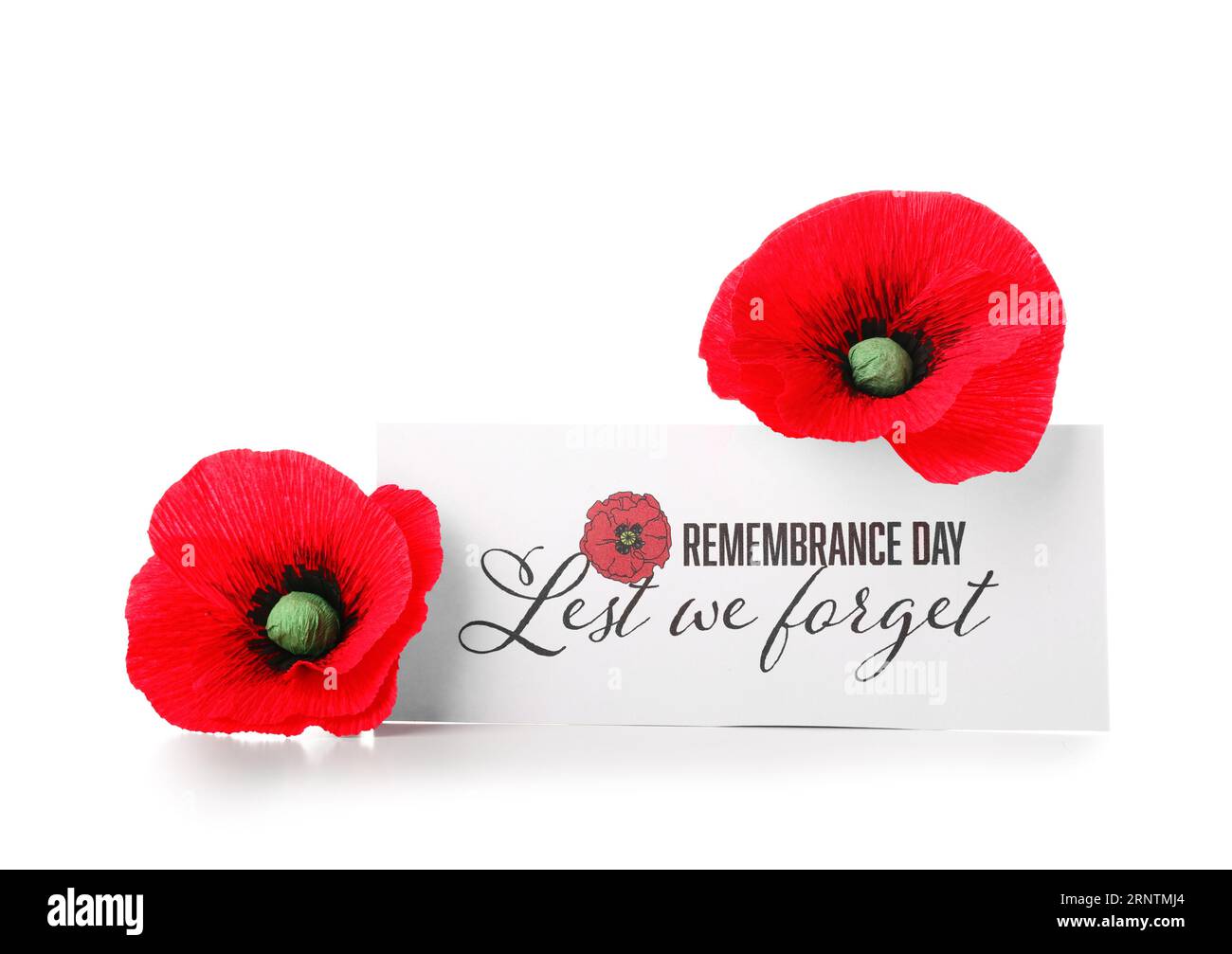 Red poppy flowers with card isolated on white background. Remembrance ...