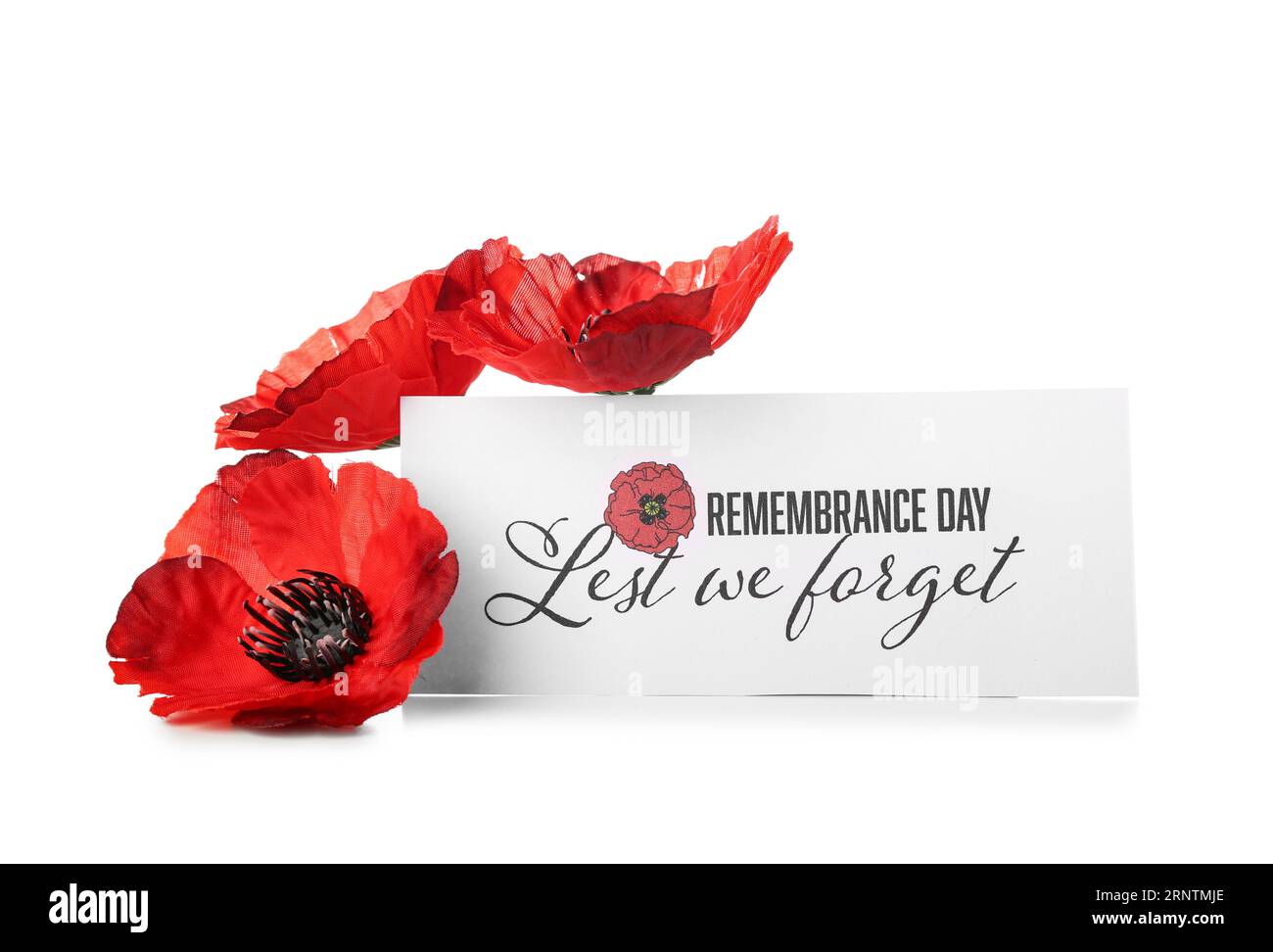 Red poppy flowers with card isolated on white background. Remembrance ...