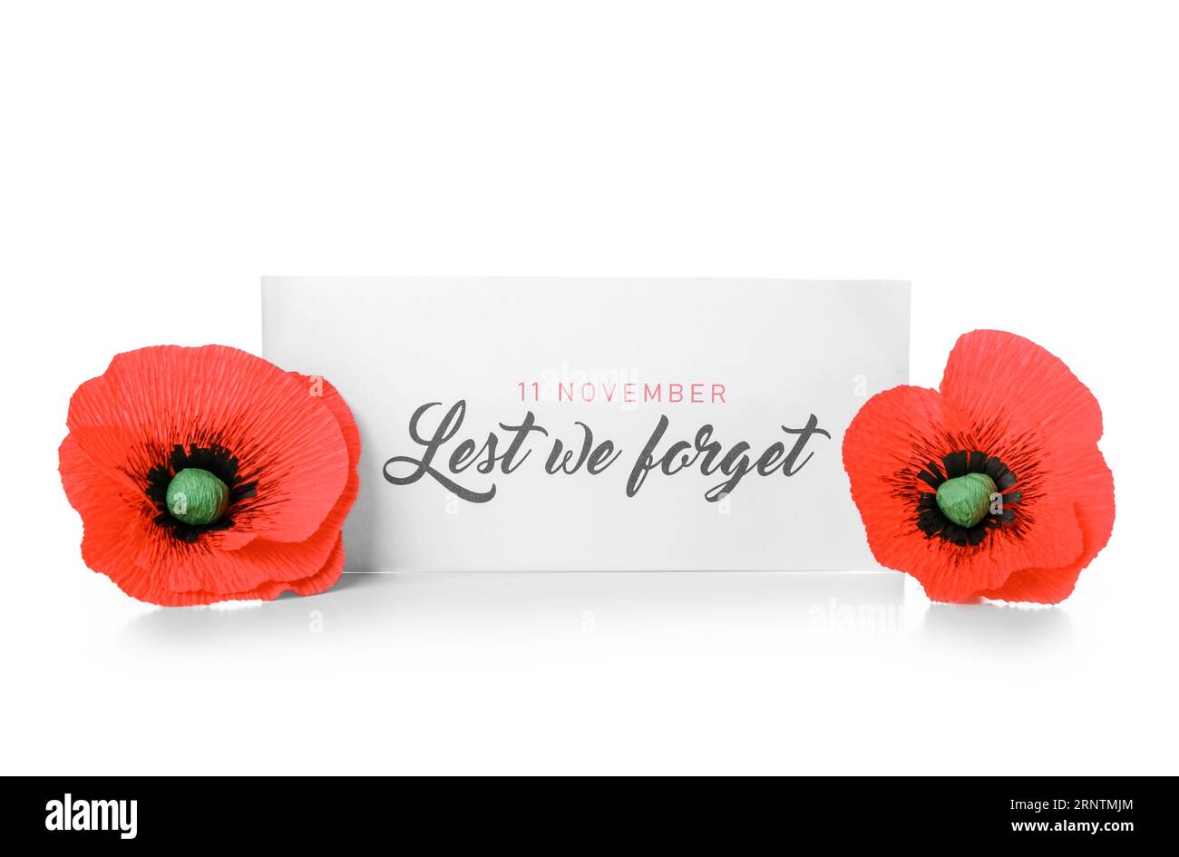 Red poppy flowers with card isolated on white background. Remembrance ...