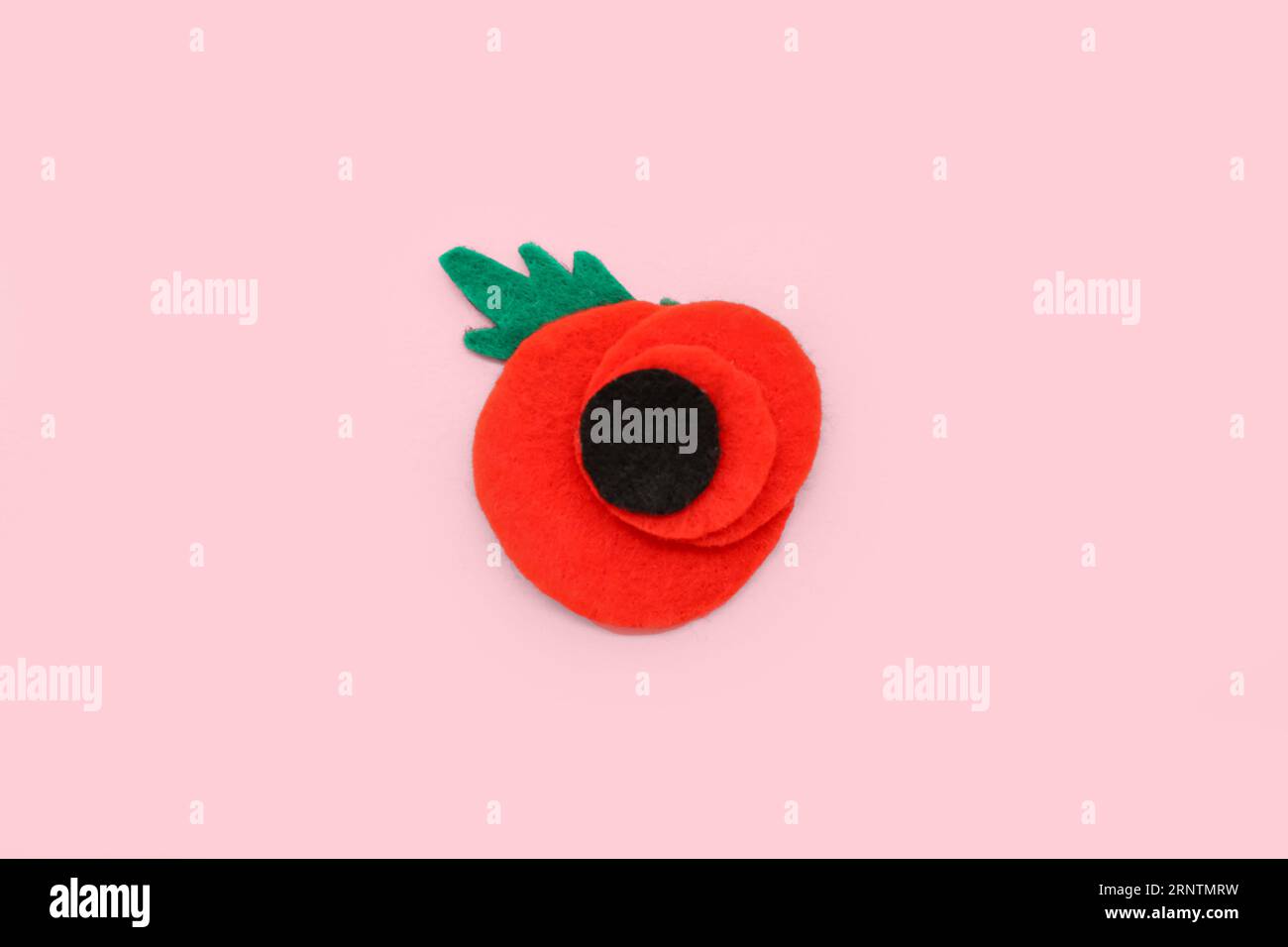 Red poppy flower on pink background. Remembrance Day in Canada Stock ...