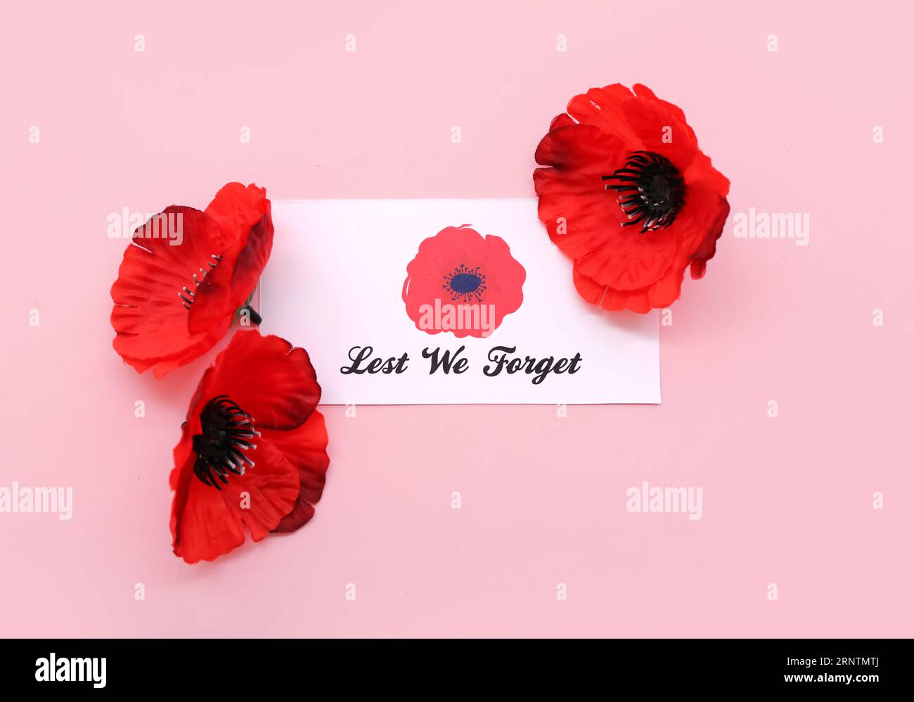 Red poppy flowers with card on pink background. Remembrance Day in ...