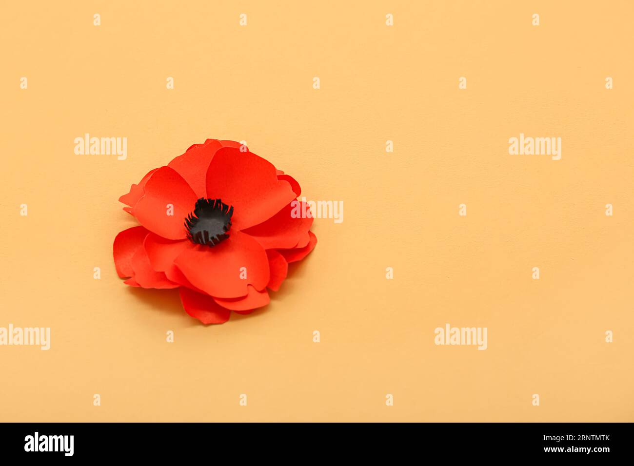Red poppy flower on orange background. Remembrance Day in Canada Stock ...