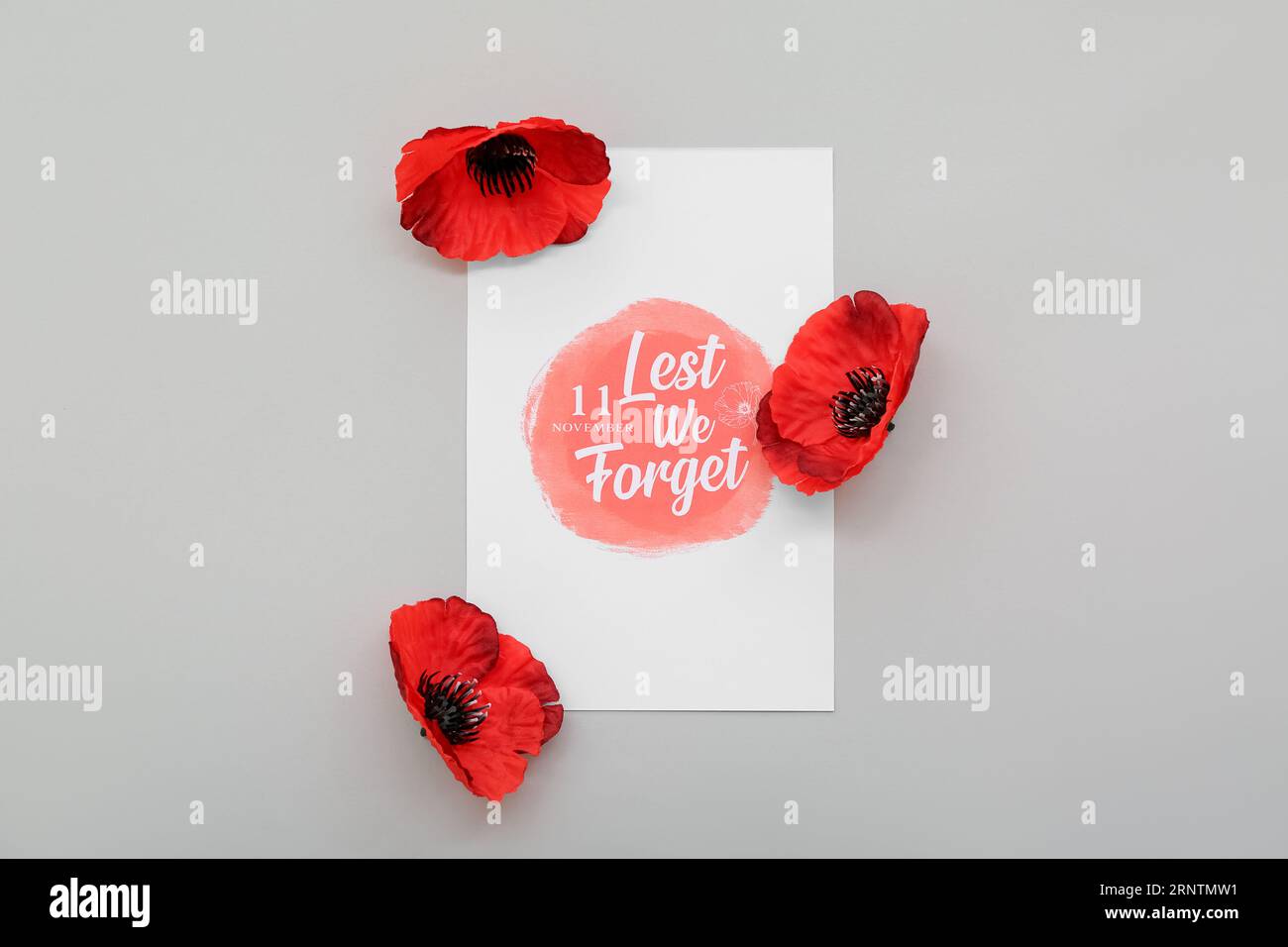 Red poppy flowers with card on grey background. Remembrance Day in ...