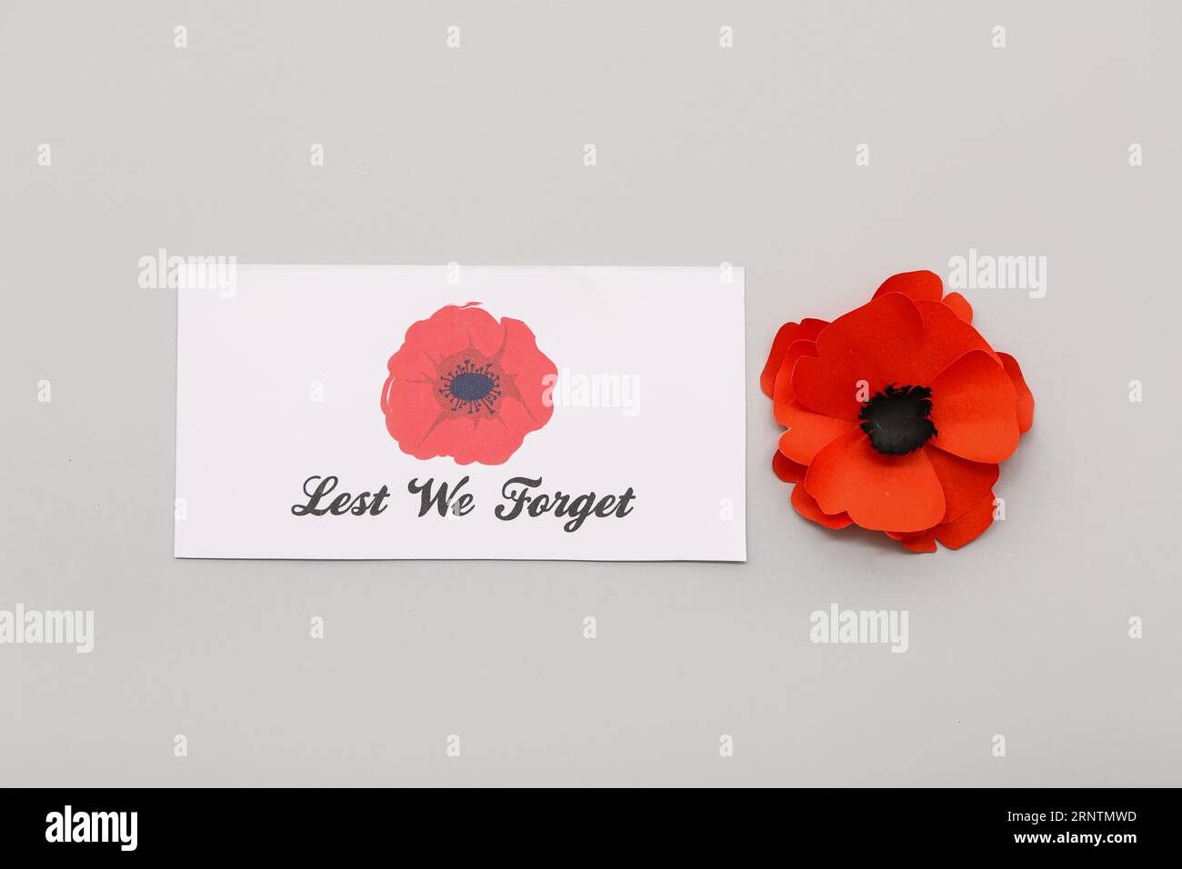 Red poppy flower with card on grey background. Remembrance Day in ...