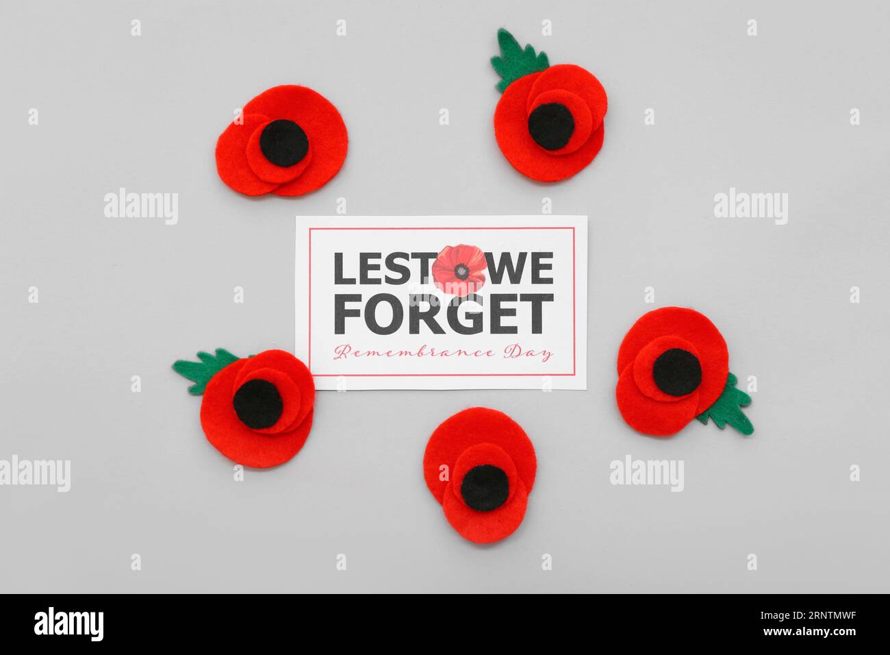 Red poppy flowers with card on grey background. Remembrance Day in ...