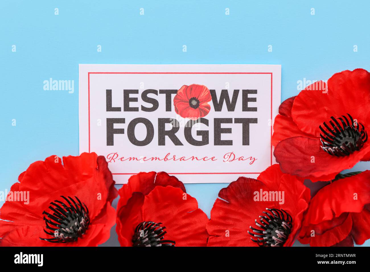 Red poppy flowers with card on blue background. Remembrance Day in ...