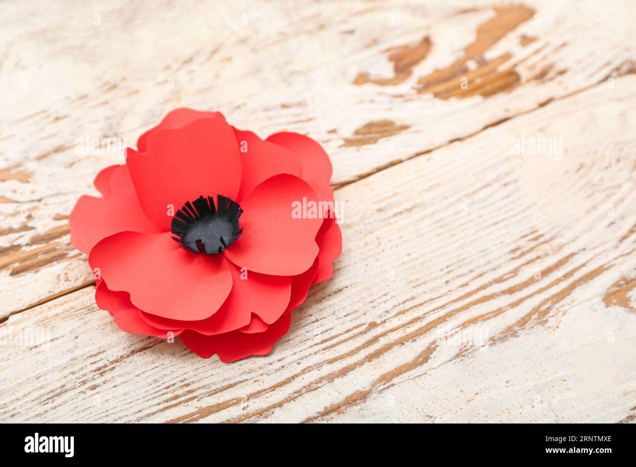 Red poppy flower on light wooden background. Remembrance Day in Canada ...