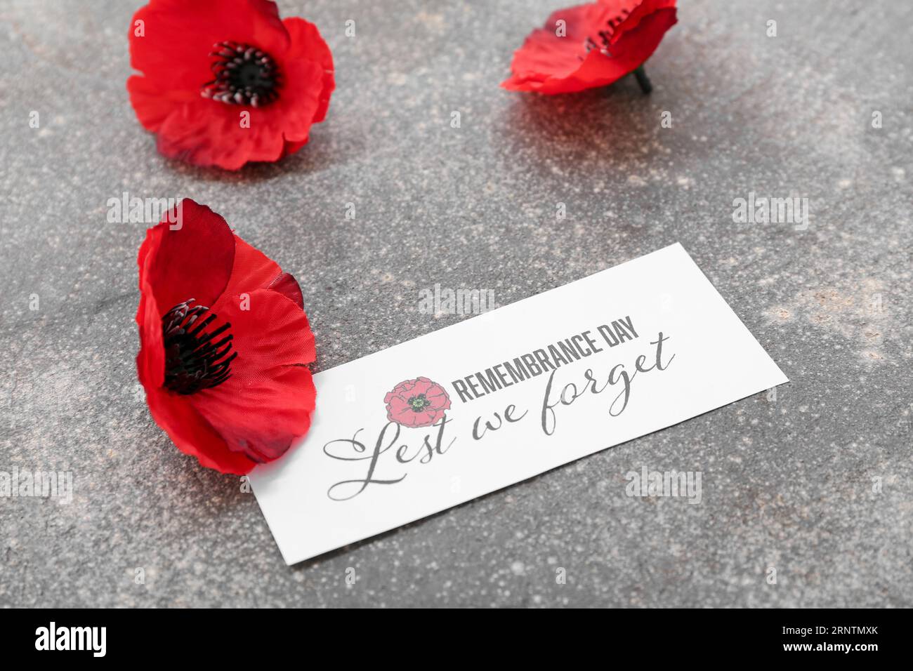 Red poppy flowers with card on grunge grey background. Remembrance Day ...