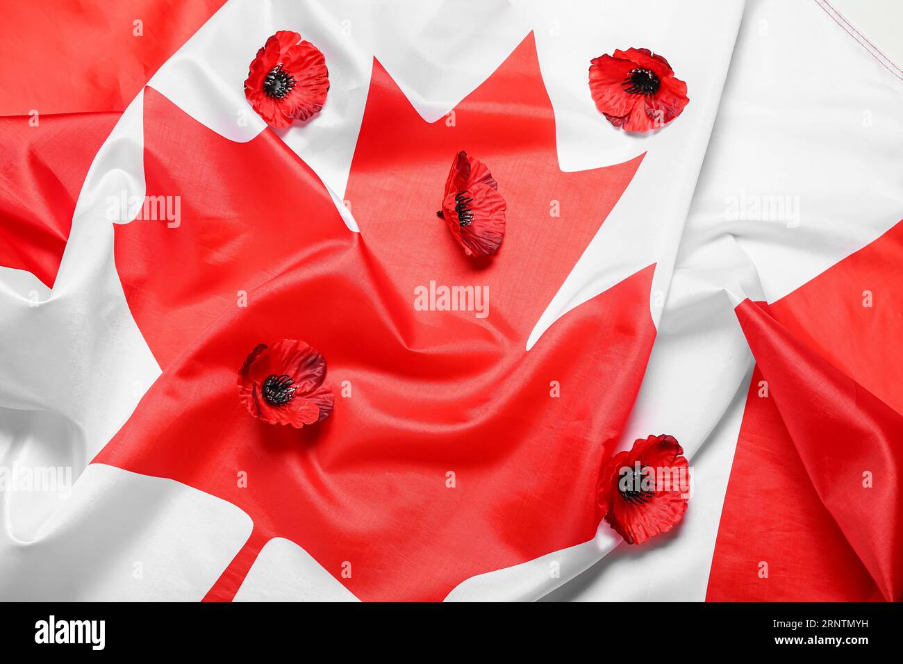 Poppy flowers on flag of Canada as background. Remembrance Day Stock ...