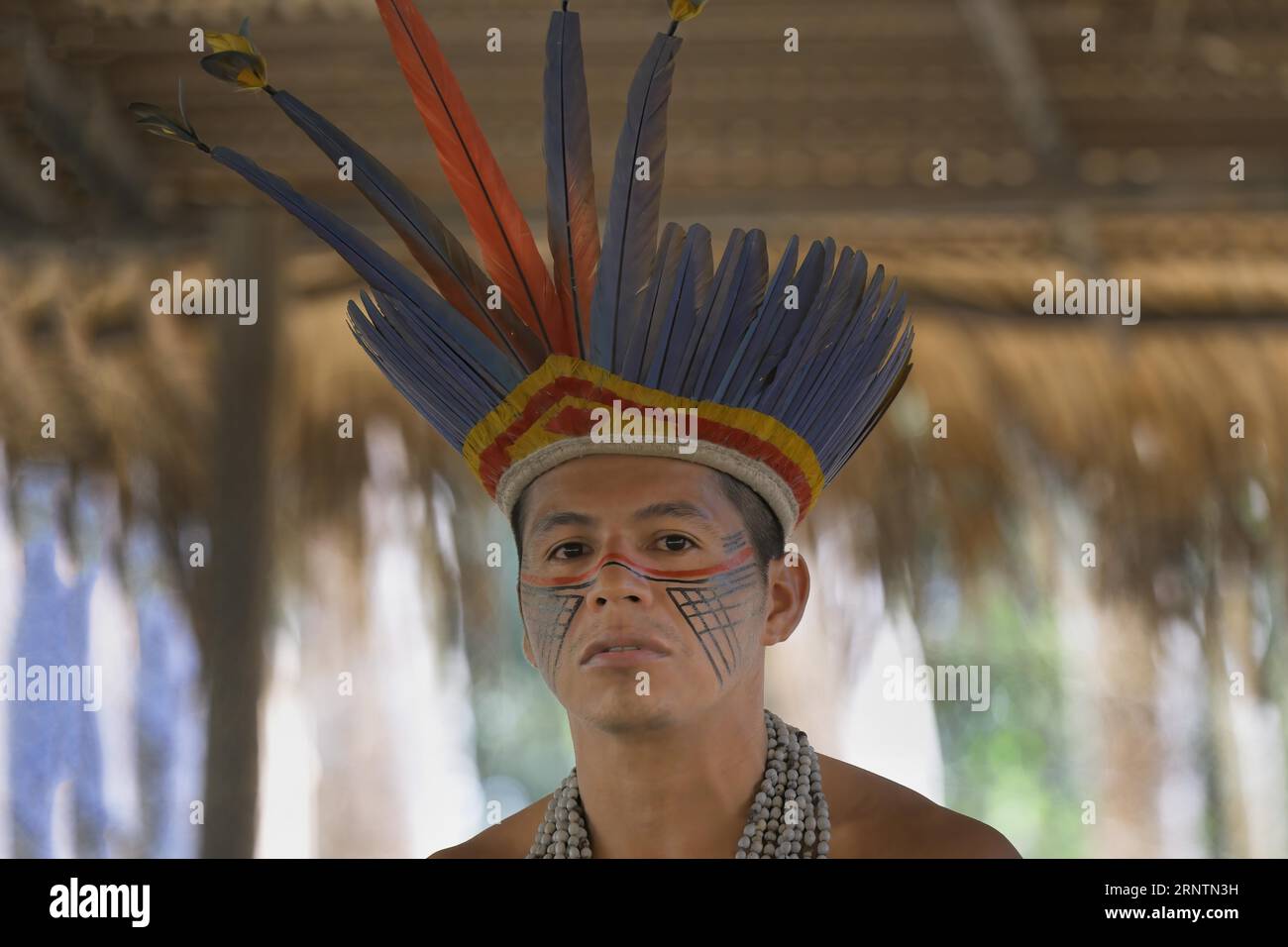 Tuyuca native man with a traditional feather hat, Manaus, Amazonia ...