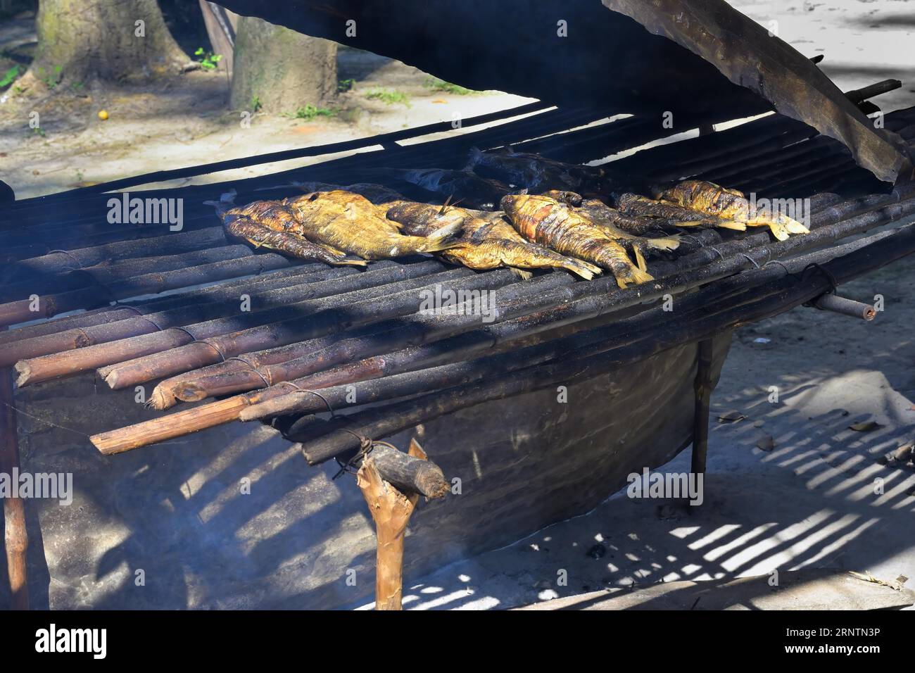 Fish on a grill in a Tuyuca natives people village, Manaus, Amazonia ...