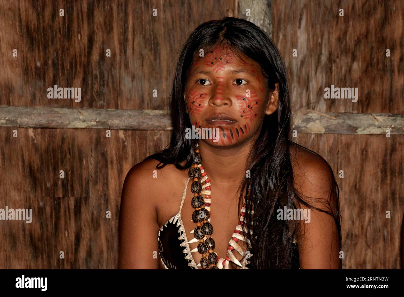 Portrait of an Indian woman from the Dessanos tribe with traditional ...