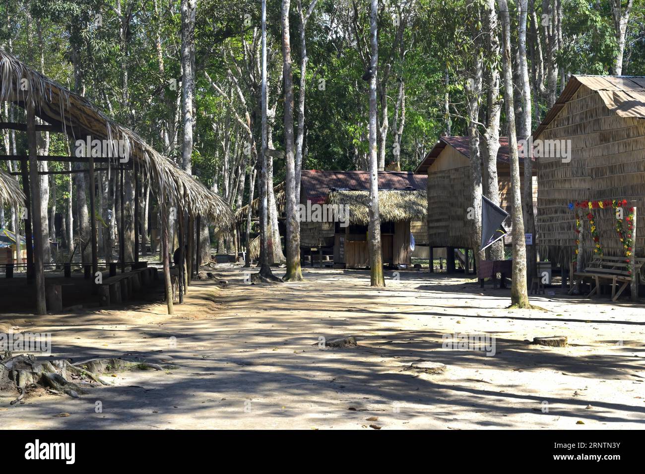 Traditional wooden house of the Tuyuca natives people village, Manaus ...