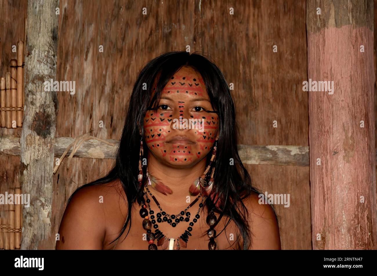 Portrait of an Indian woman from the Dessanos tribe with traditional ...