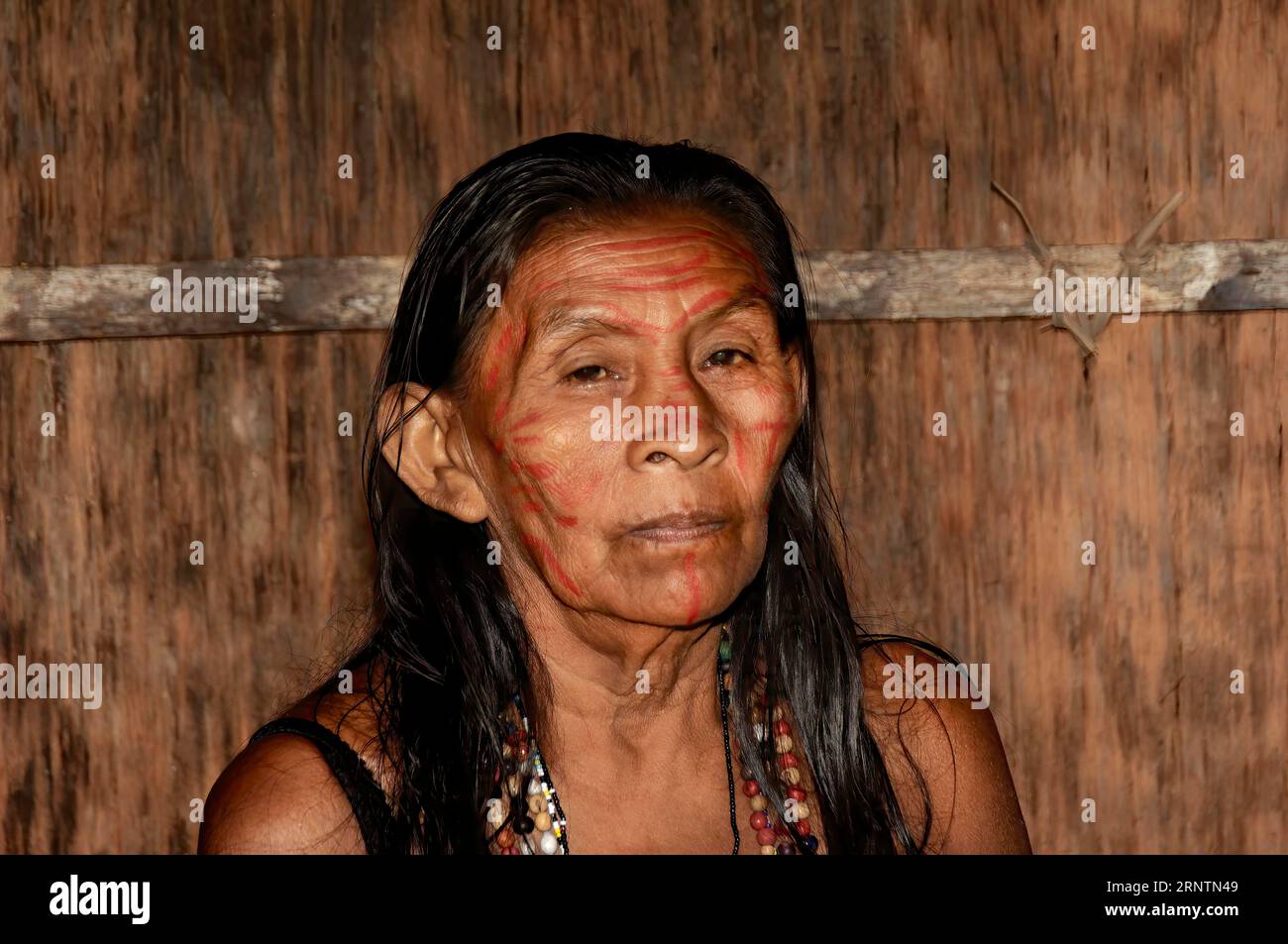 Portrait of an Indian woman from the Dessanos tribe with traditional ...