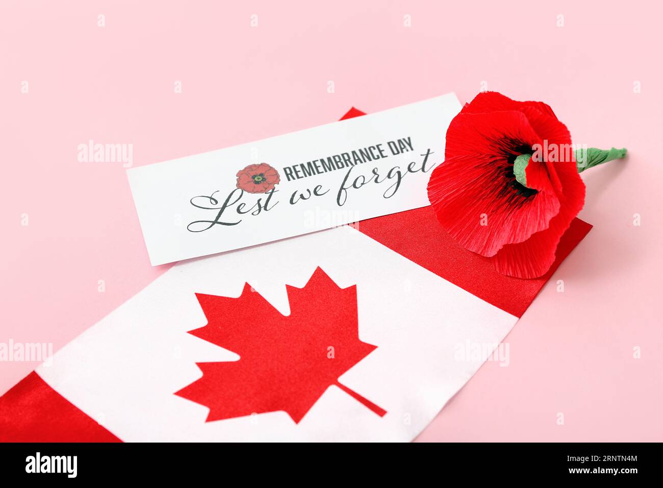 Poppy flower, flag of Canada and card with text LEST WE FORGET on pink ...