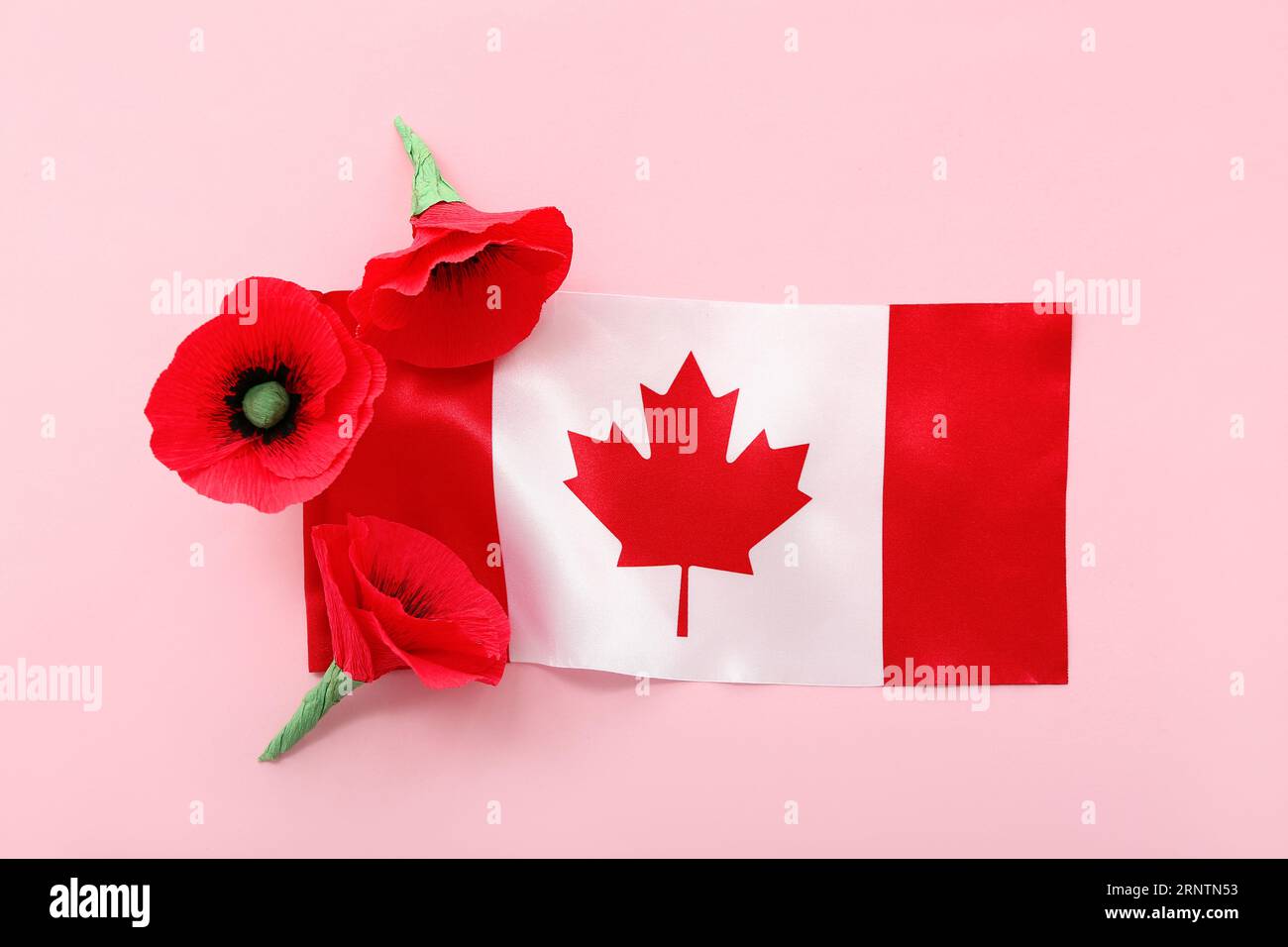 Poppy flowers and flag of Canada on pink background. Remembrance Day ...