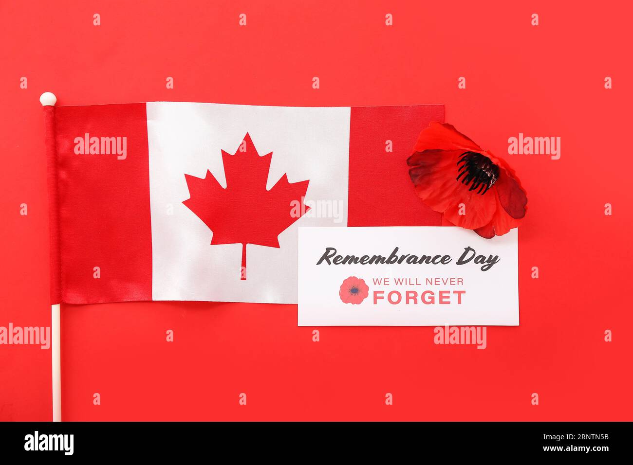Remembrance Day Canada Wallpaper