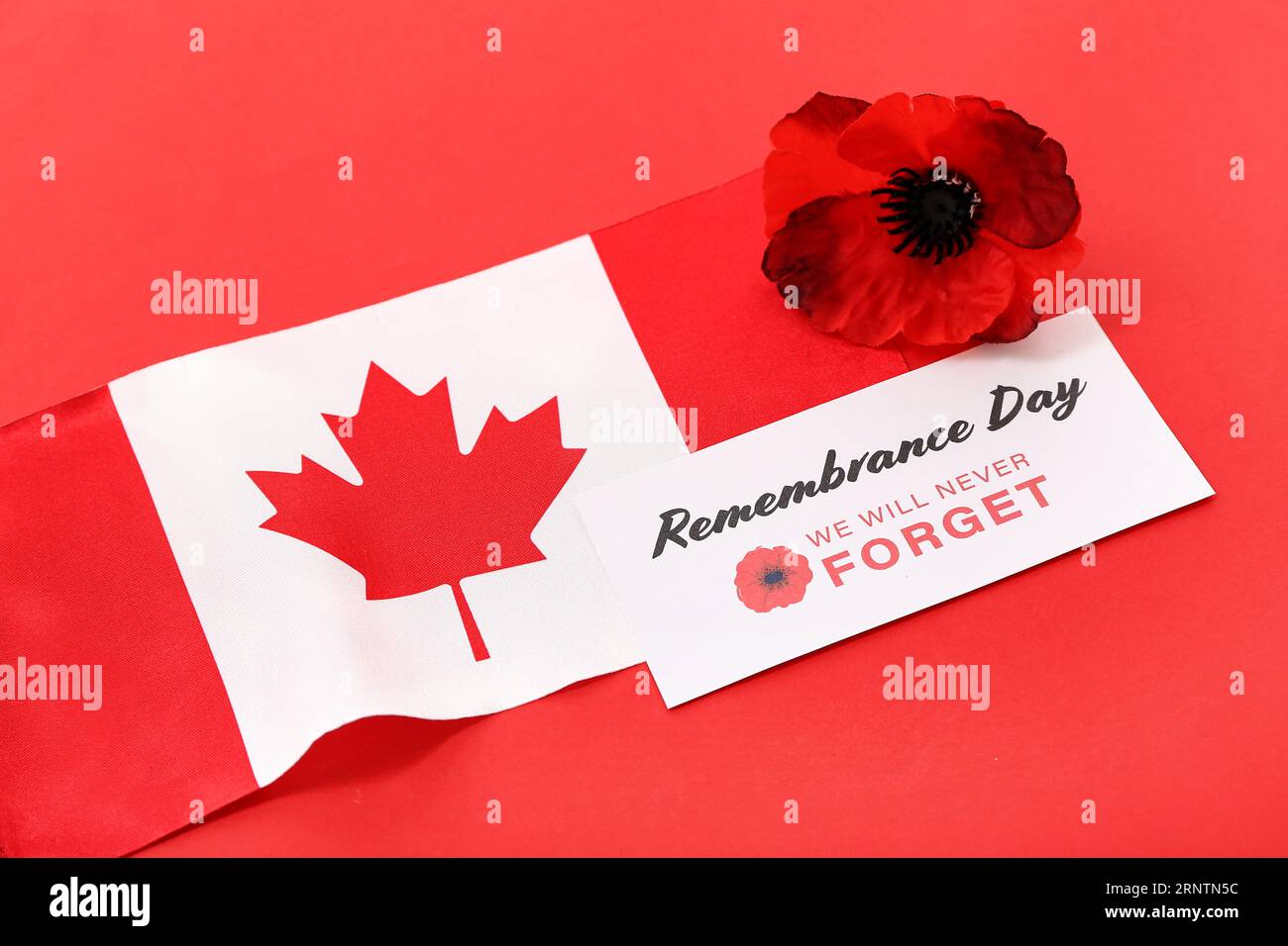 Red poppy and canada flag hi-res stock photography and images - Alamy