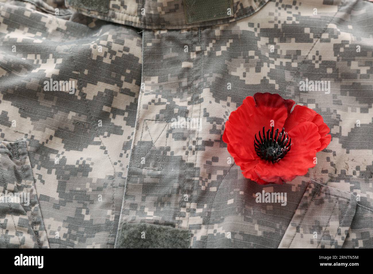 Poppy flower on military uniform, closeup. Remembrance Day in Canada ...