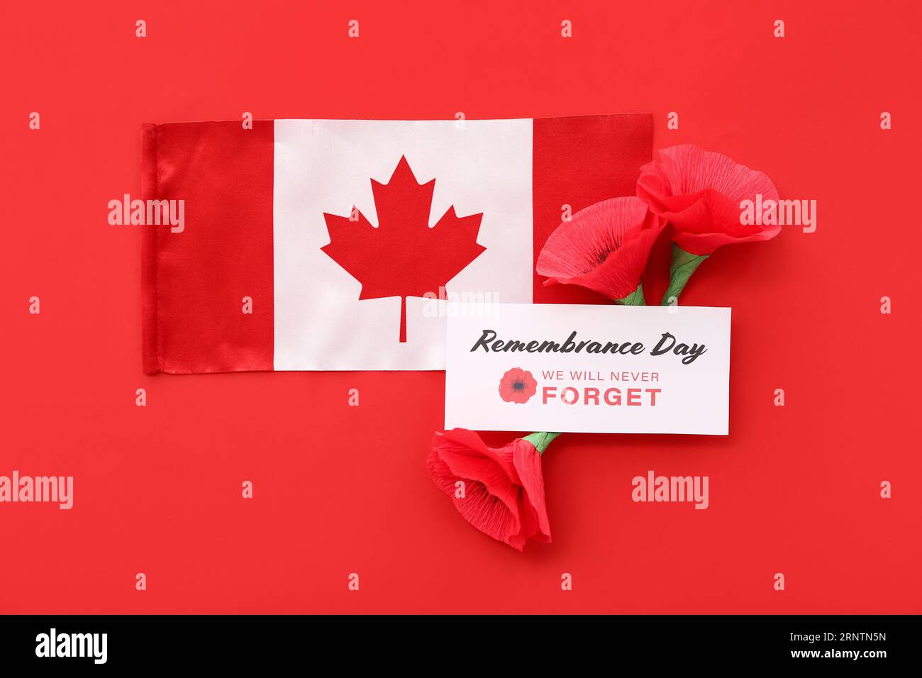 Poppy flowers, flag of Canada and card on red background. Remembrance ...