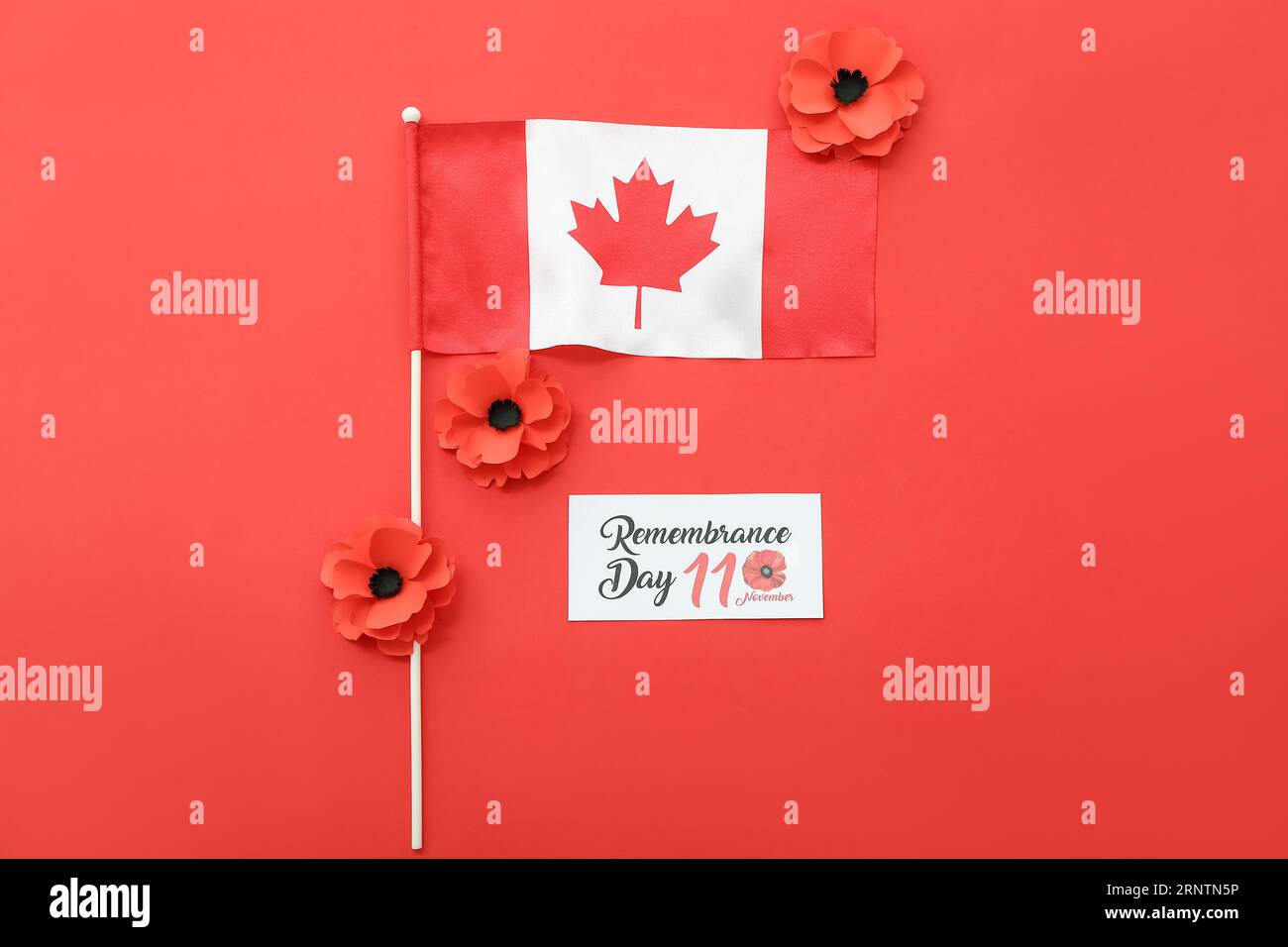 Red poppy and canada flag hi-res stock photography and images - Alamy
