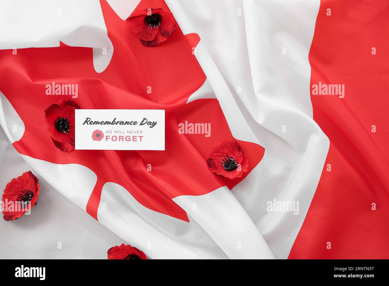 Poppy flowers card flag hi-res stock photography and images - Alamy