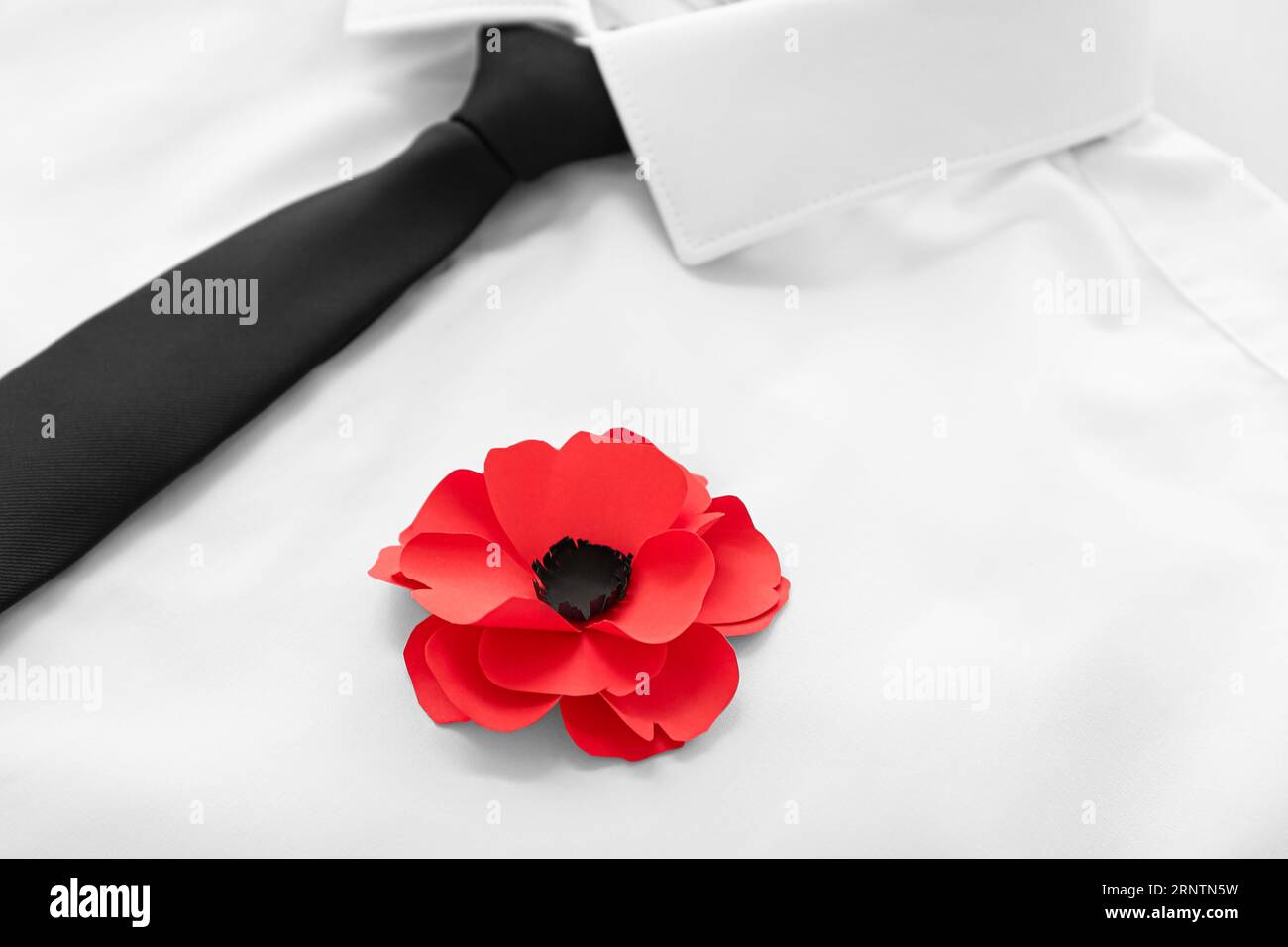 Poppy flower pinned on male clothes. Remembrance Day in Canada Stock ...