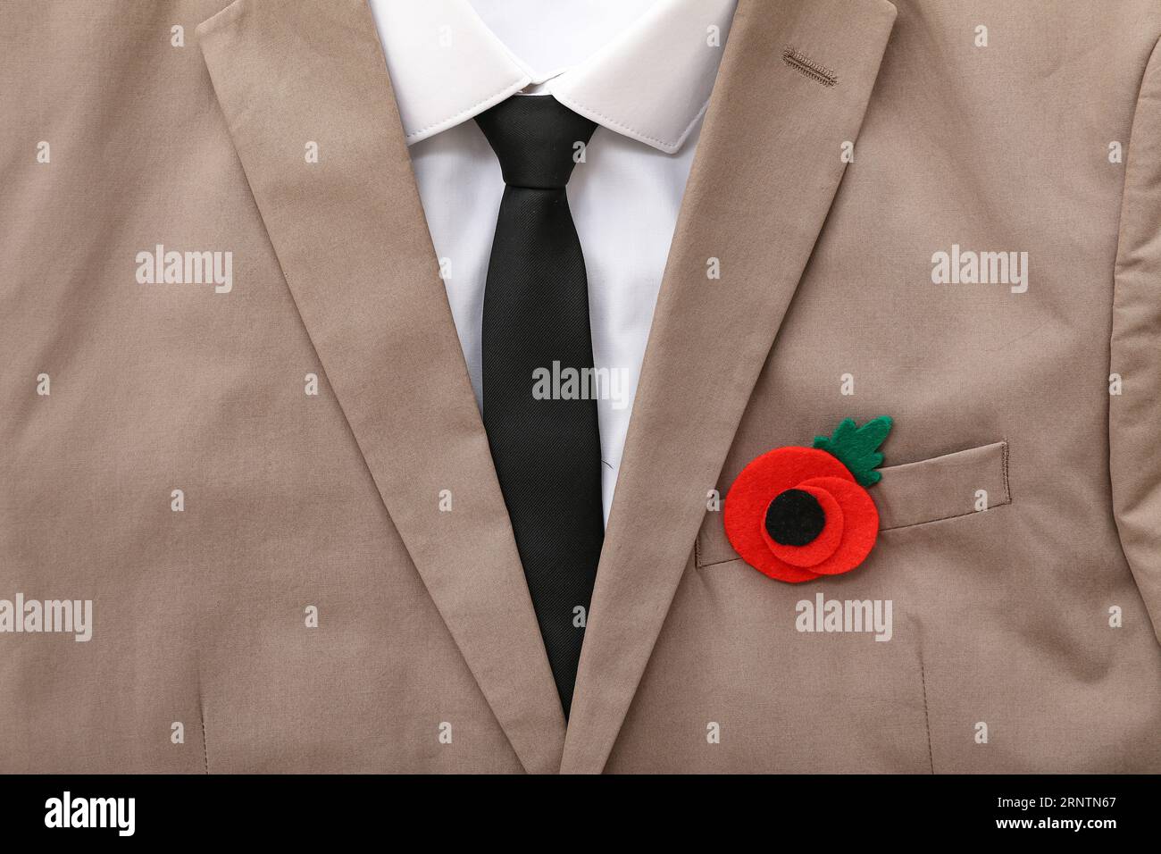 Poppy flower pinned on male brown suit. Remembrance Day in Canada Stock ...