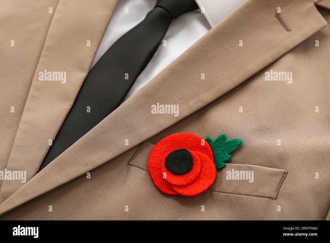 Poppy flower pinned on male brown suit. Remembrance Day in Canada Stock ...