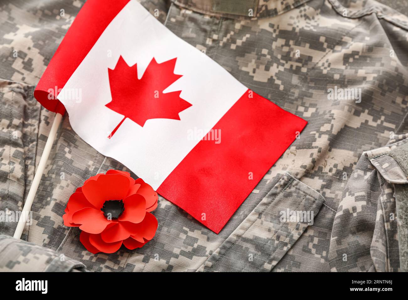 Poppy flower and flag of Canada on military uniform, closeup ...
