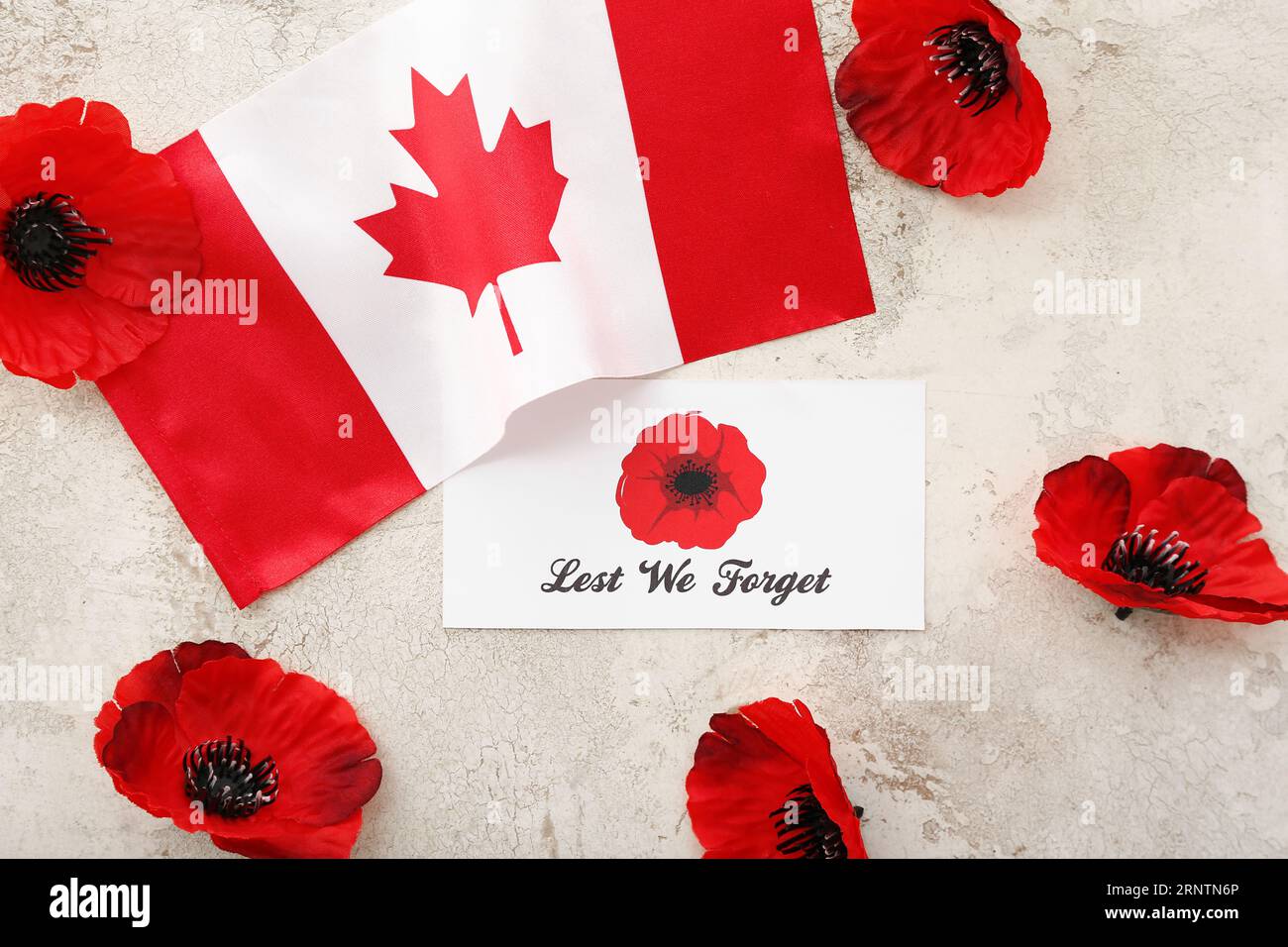 Poppy flowers card flag hi-res stock photography and images - Alamy