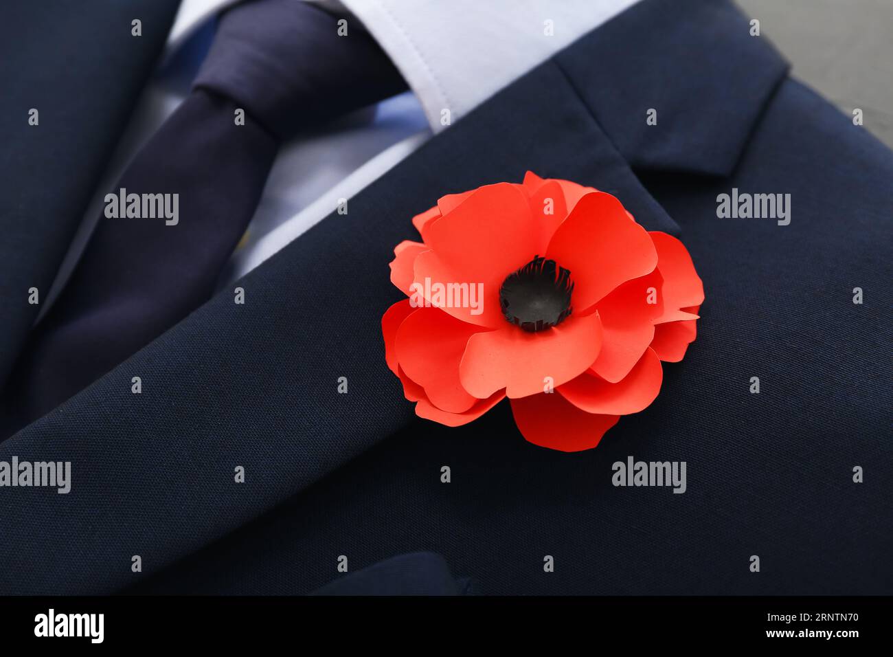 Poppy flower pinned on male suit. Remembrance Day in Canada Stock Photo ...