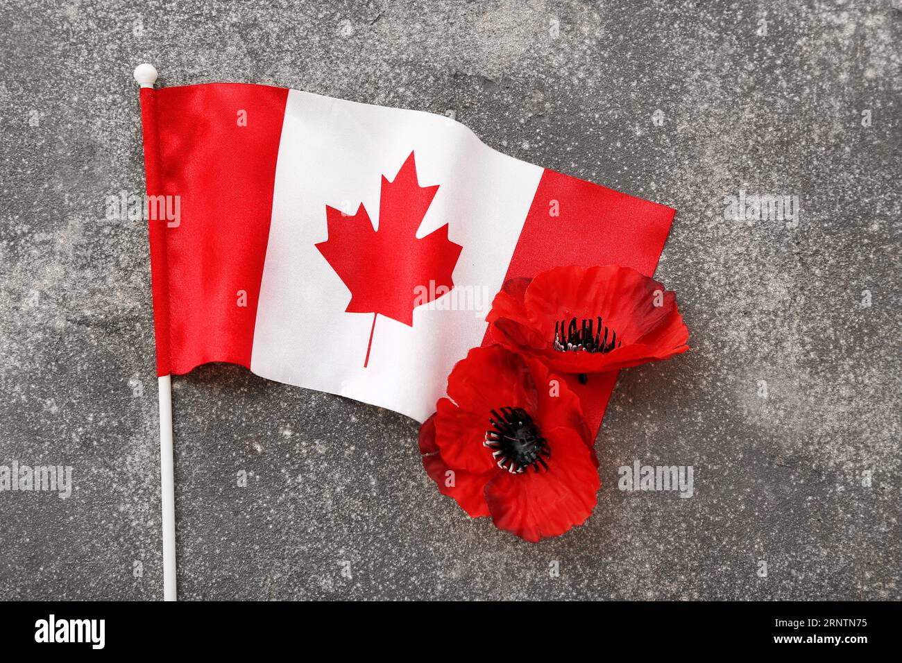Poppy flowers and flag of Canada on grunge grey background. Remembrance ...