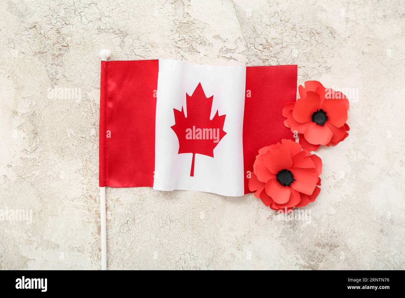 Poppy flowers with flag of Canada on light grunge background ...
