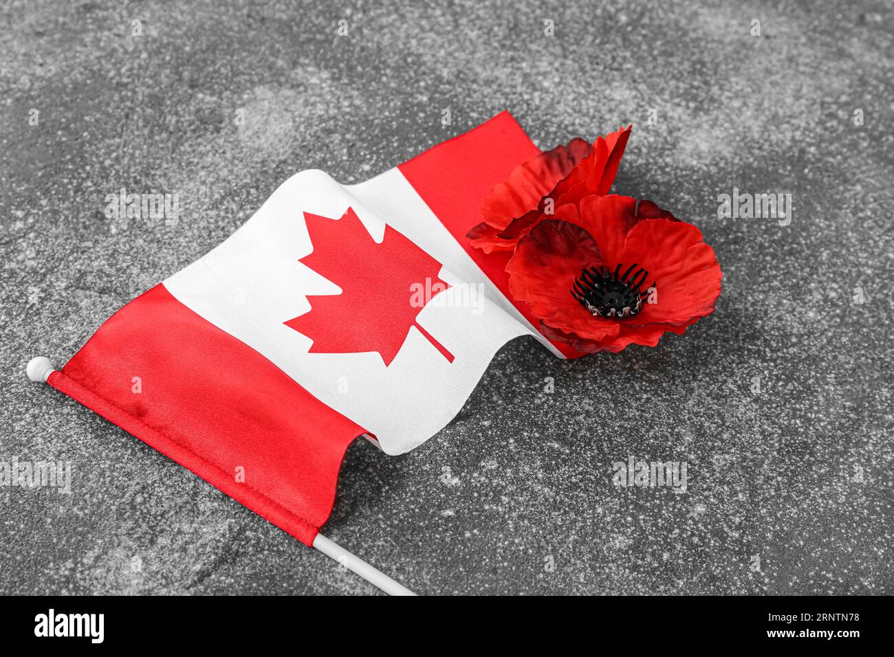 Poppy flowers and flag of Canada on grunge grey background. Remembrance ...