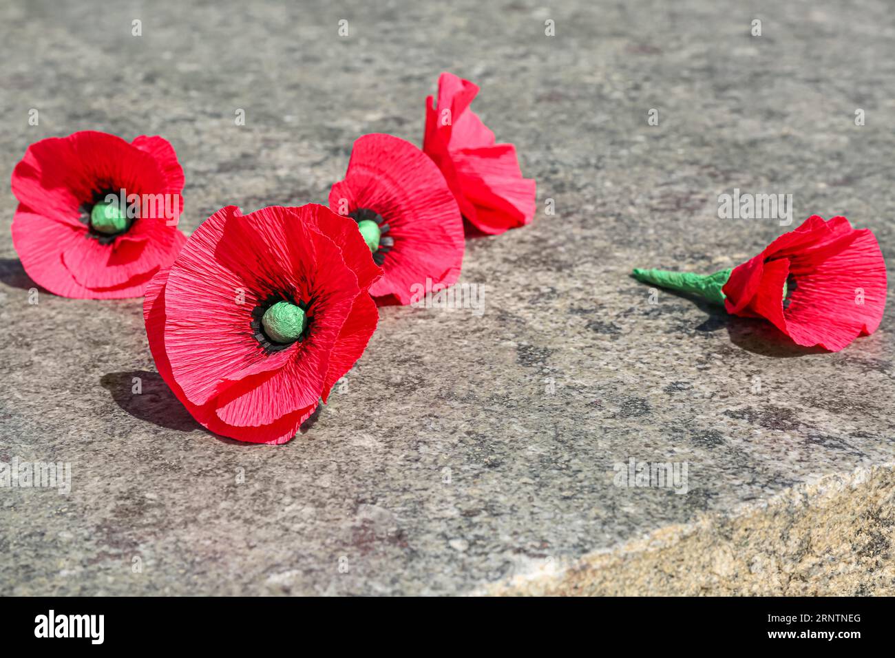 Many poppy flowers on stone monument. Remembrance Day in Canada Stock ...