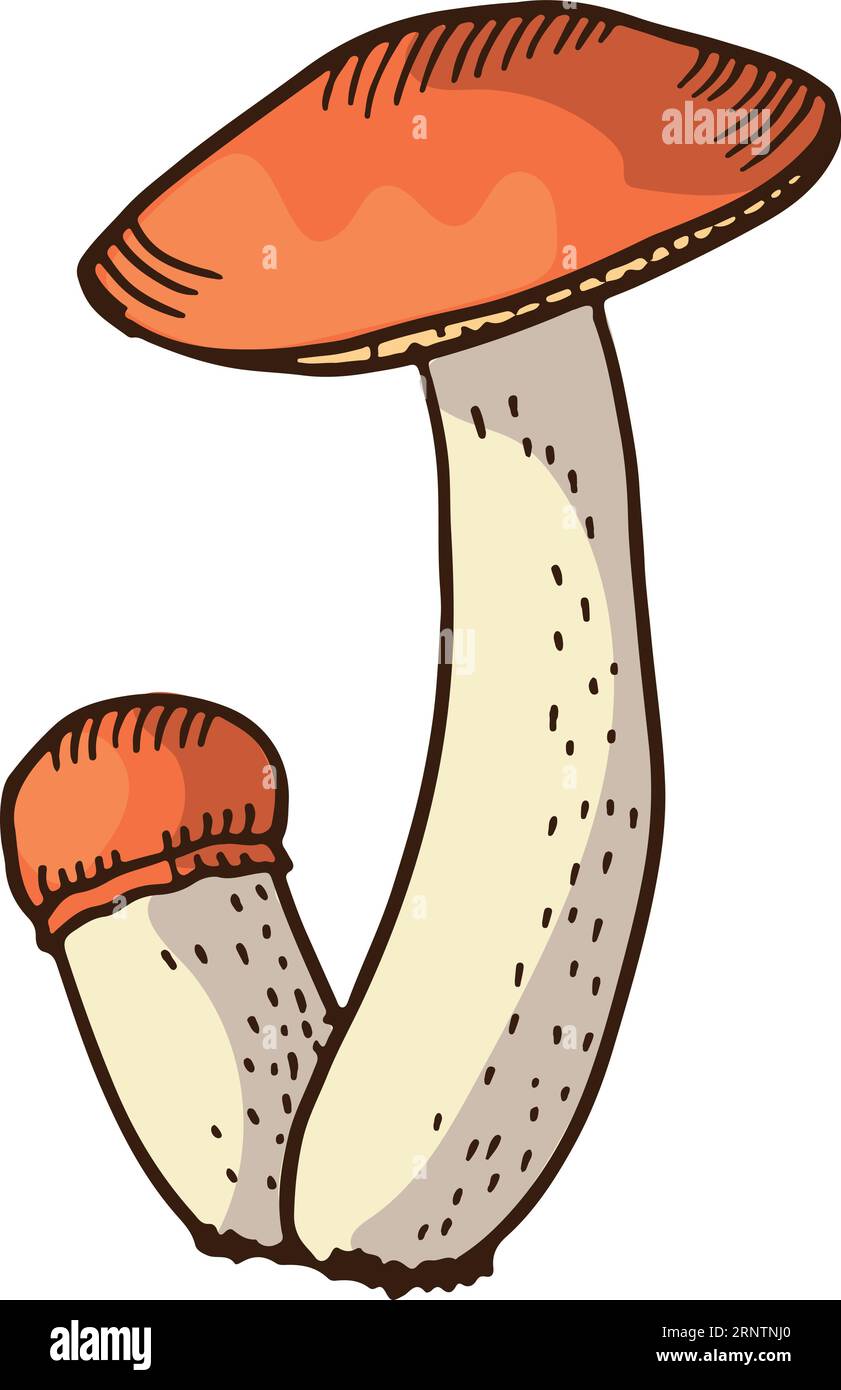 Cap capped Stock Vector Images - Alamy