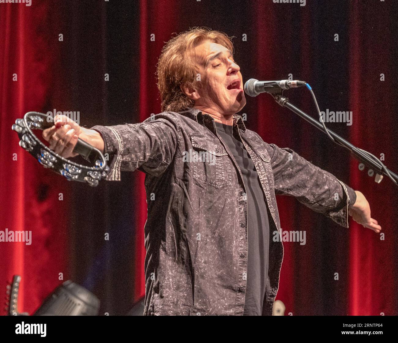 The hollies band hi-res stock photography and images - Alamy