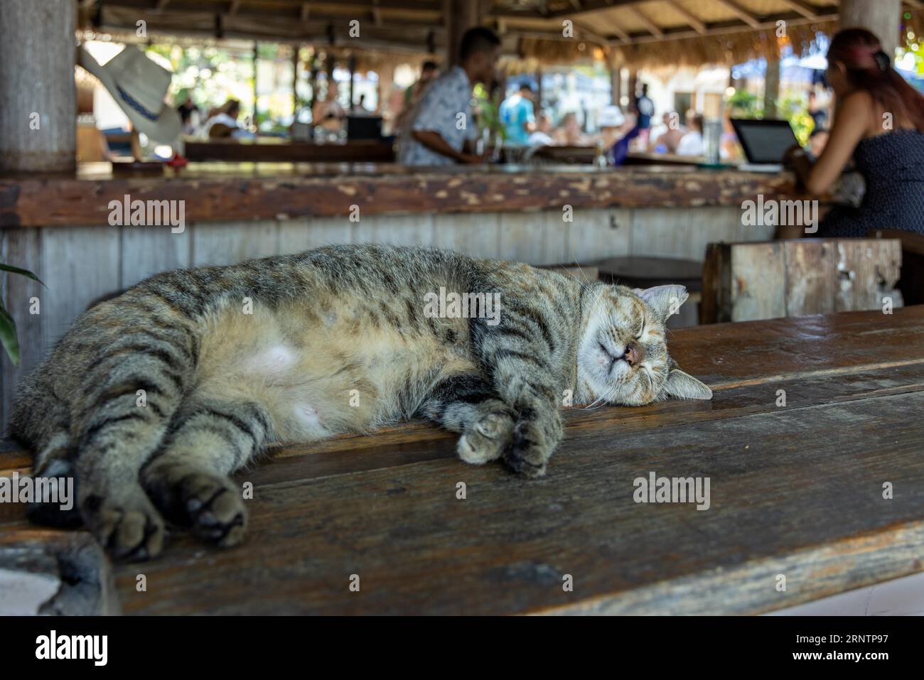Bar island hi-res stock photography and images - Alamy
