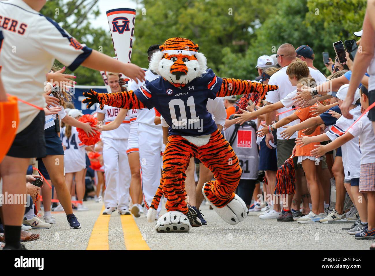 Auburn University Mascot