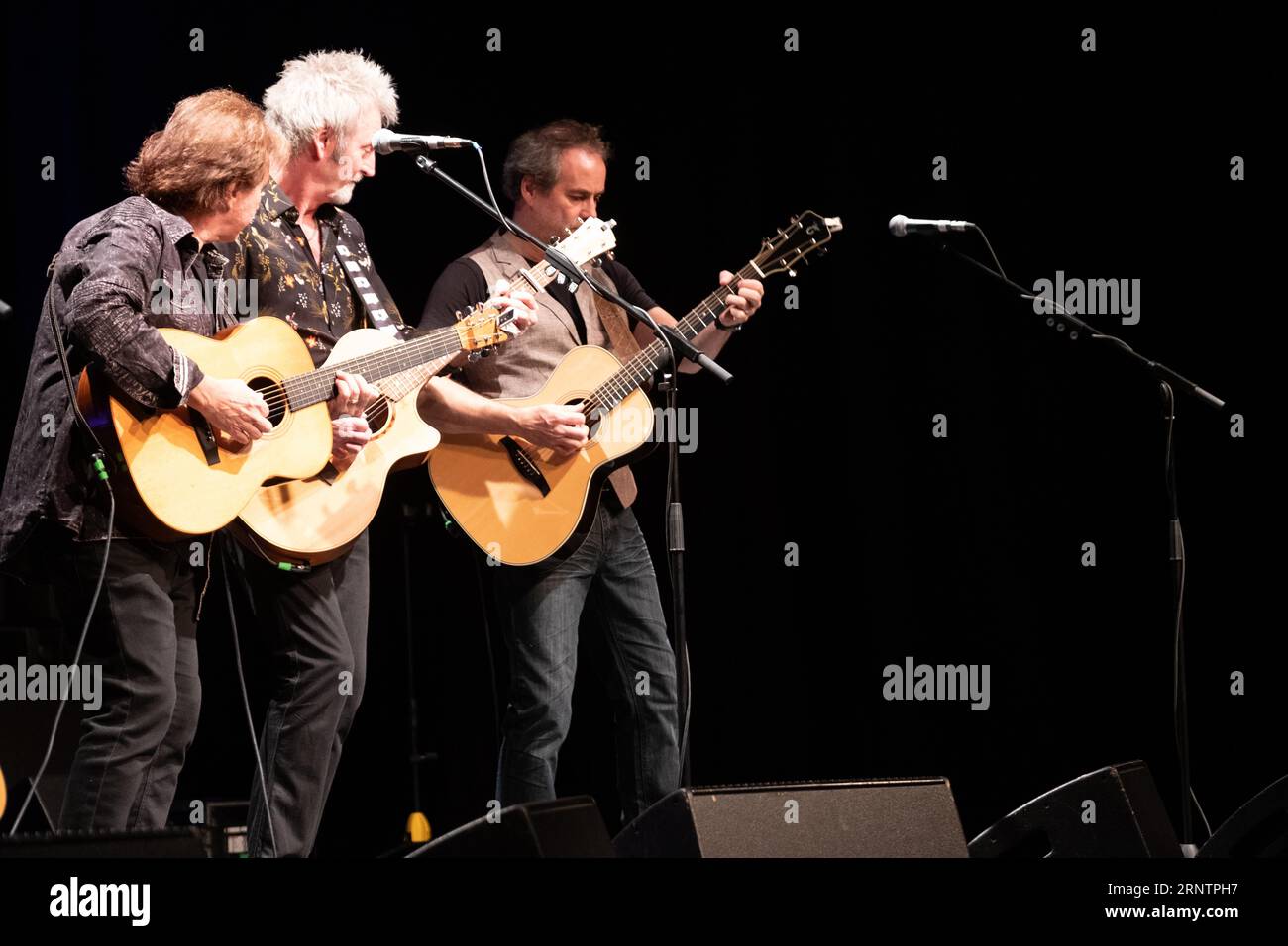 The hollies band hi-res stock photography and images - Alamy