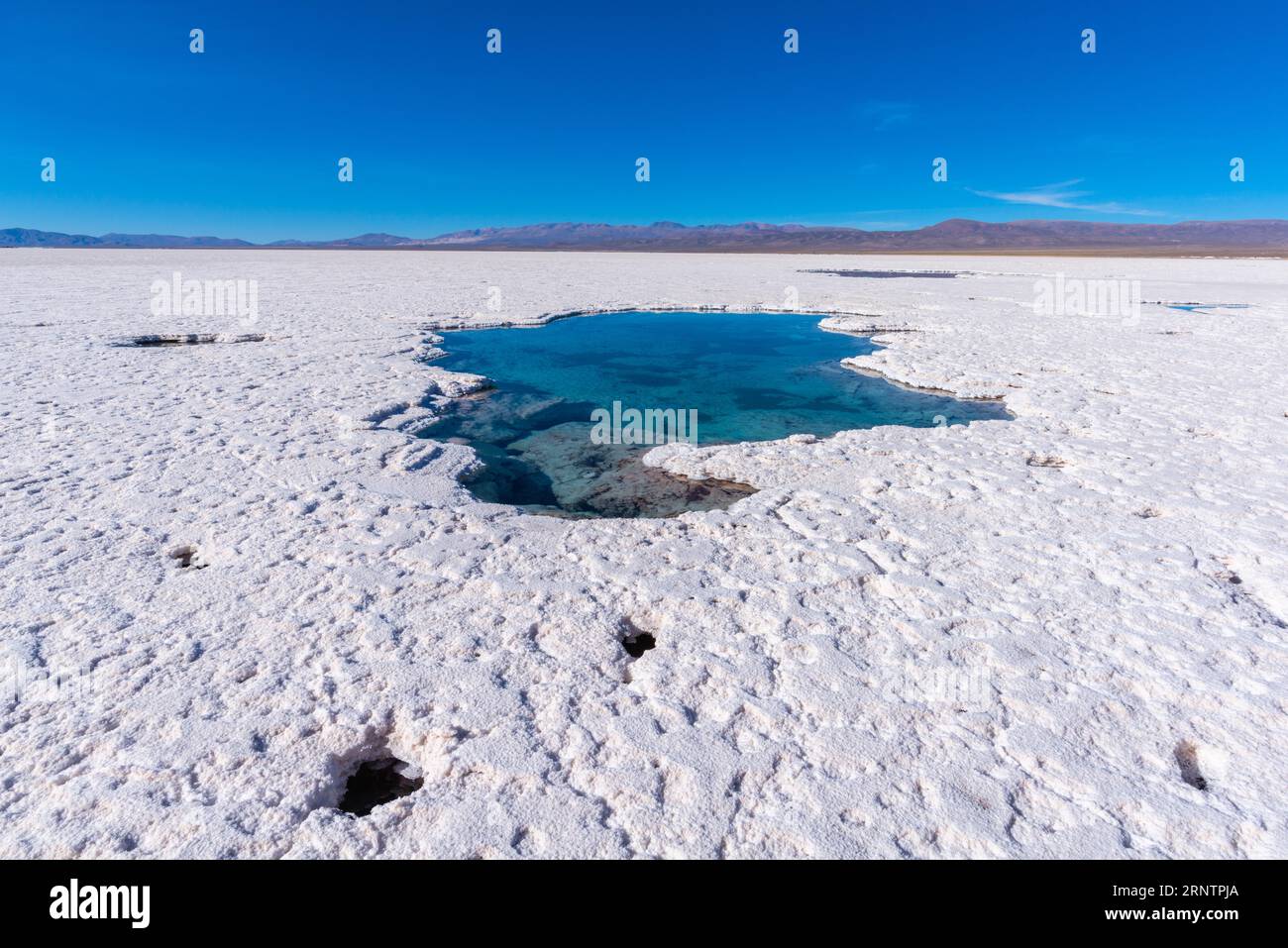 Ojos de pan hi-res stock photography and images - Alamy