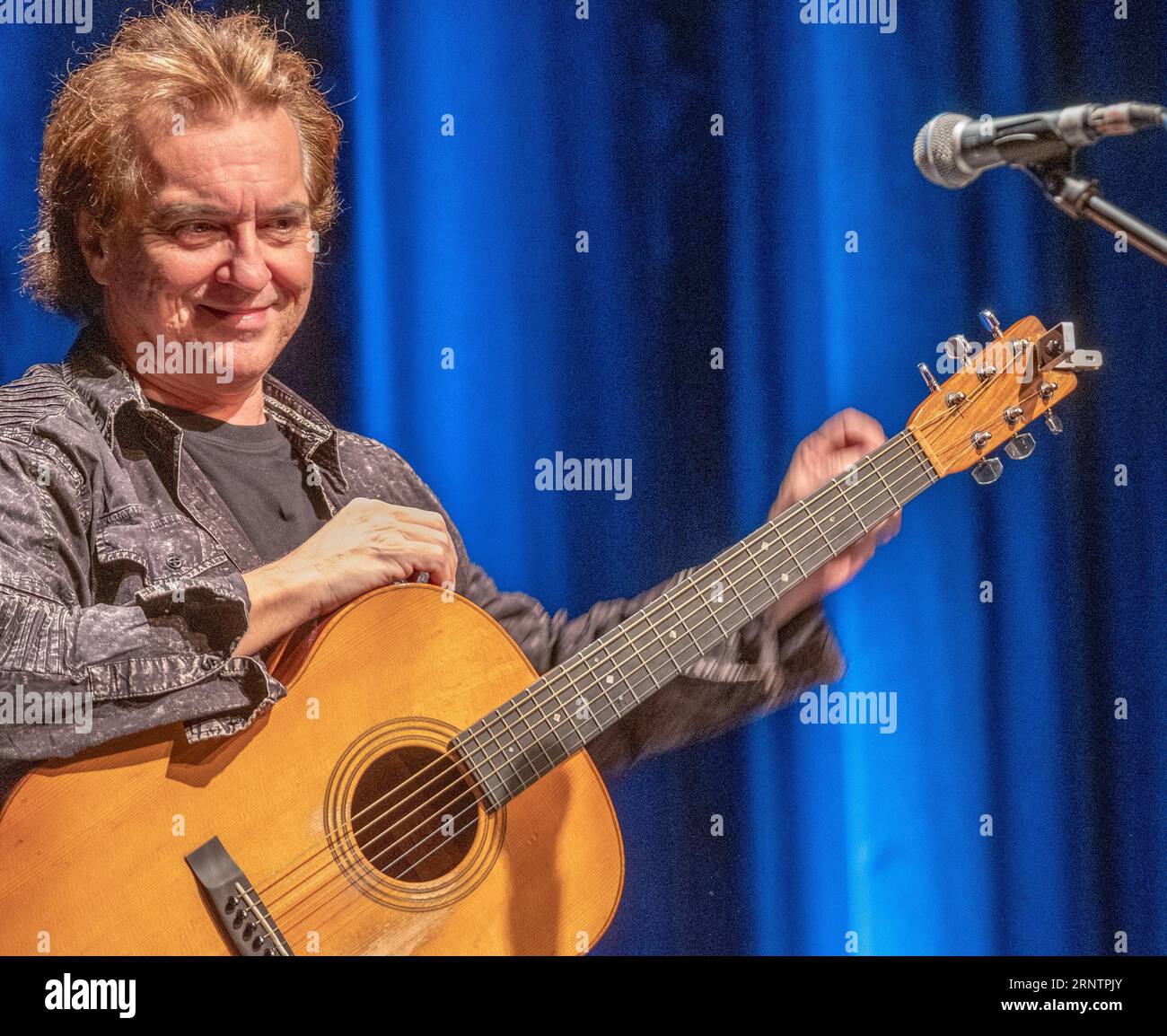 The hollies band hi-res stock photography and images - Alamy